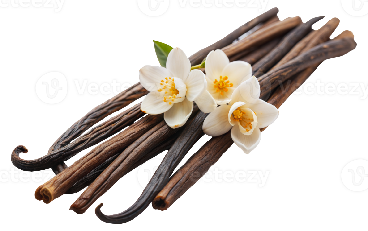 Vanilla Beans Meaning Gujarati at Buddy Franzen blog