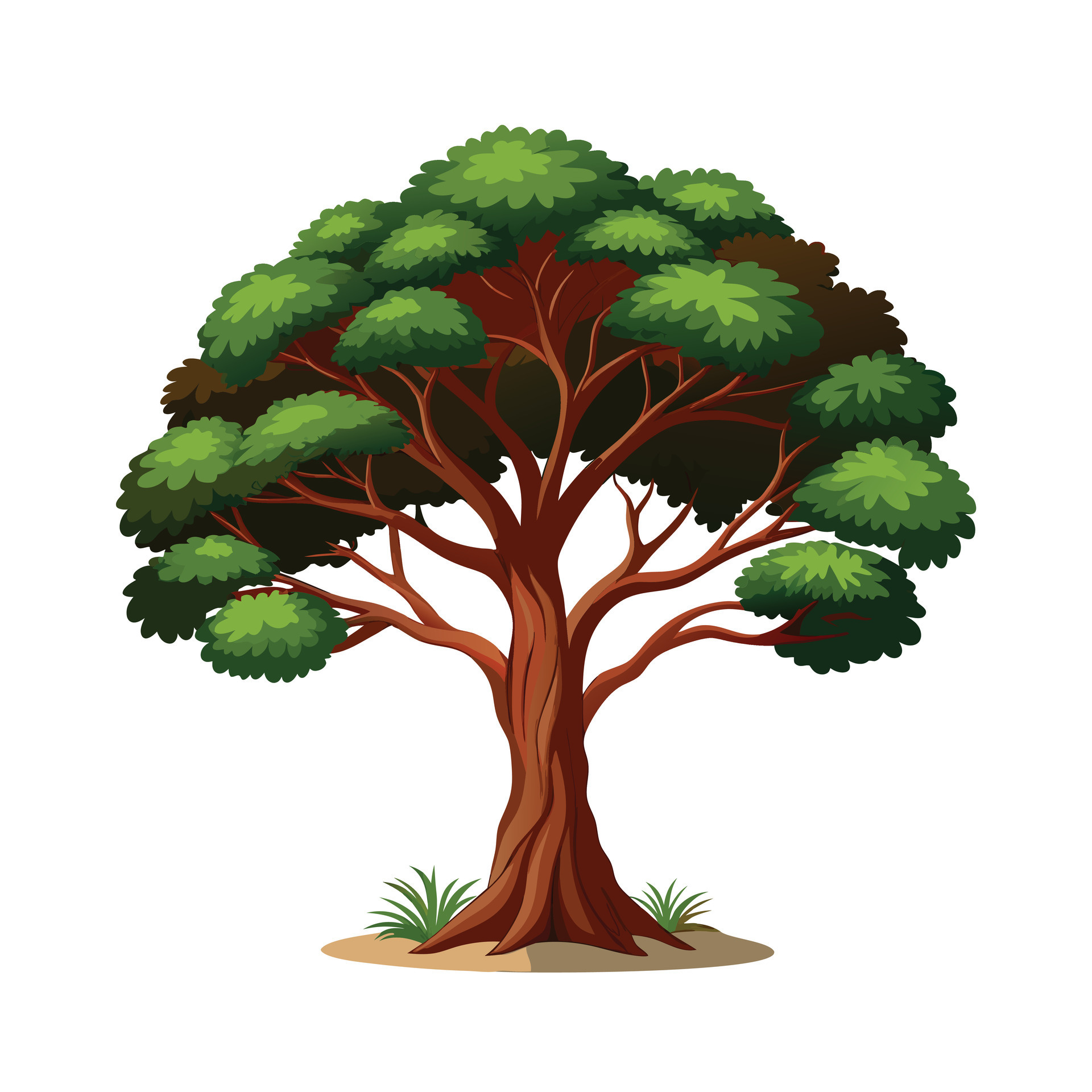 Beautiful Single Big Tree Illustration 47612196 Vector Art at Vecteezy