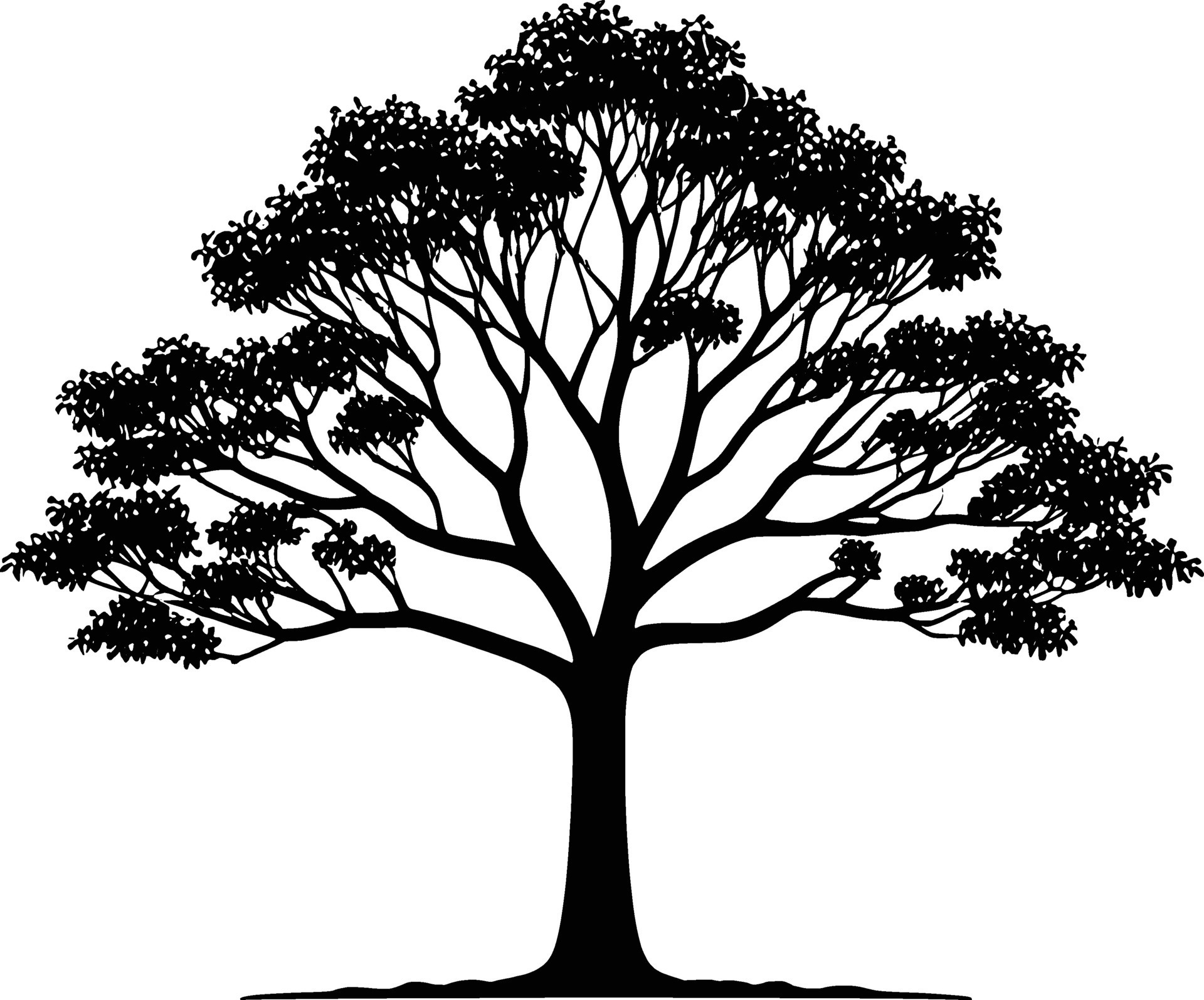Simple line art tree shape icon, isolated on white background. 47622062 ...