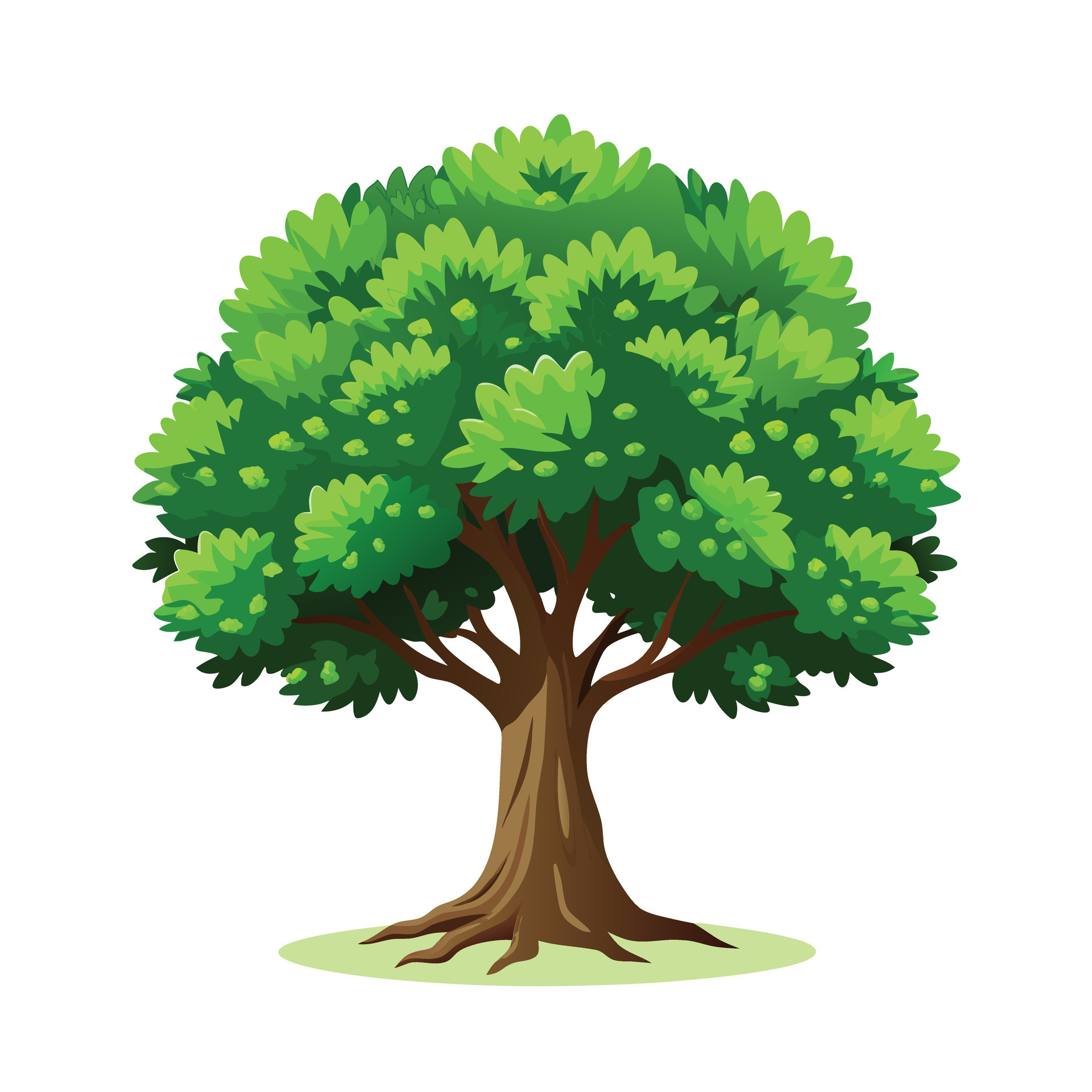Beautiful Single Big Tree Illustration 47666510 Vector Art at Vecteezy