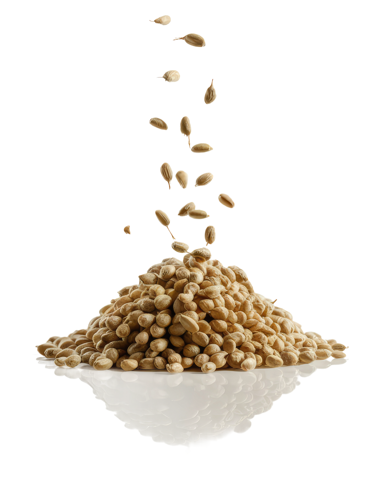 A Handful Of Hemp Seeds 47731176 Png