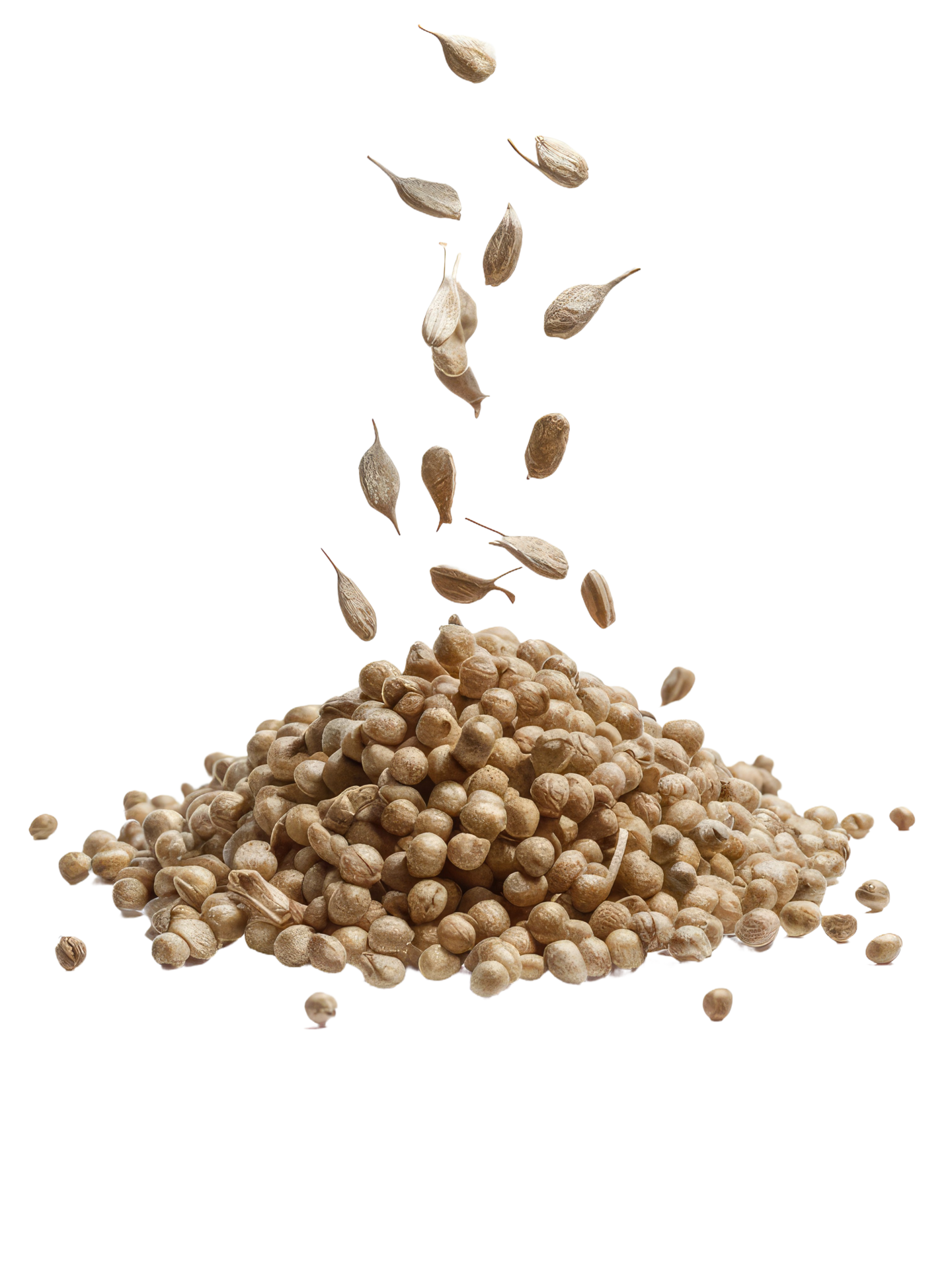 A Handful Of Hemp Seeds 47731181 Png