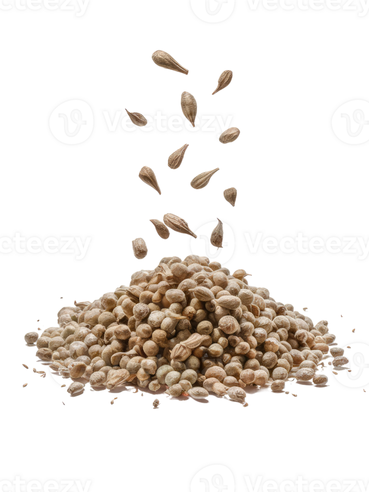 A Handful Of Hemp Seeds 47731193 Png