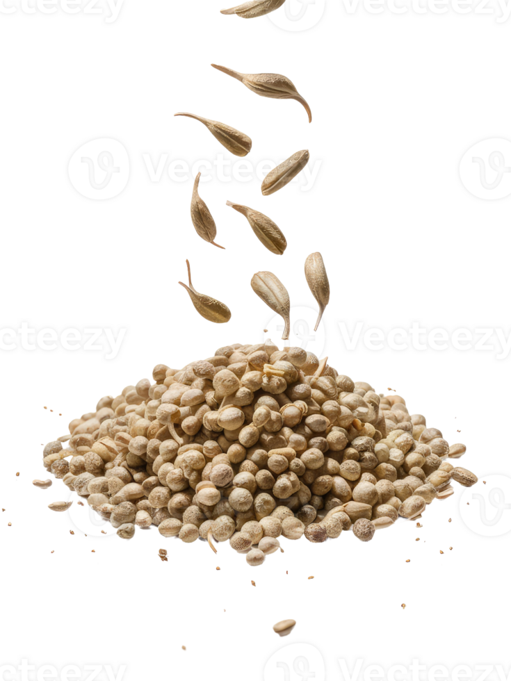 A Handful Of Hemp Seeds 47731195 Png