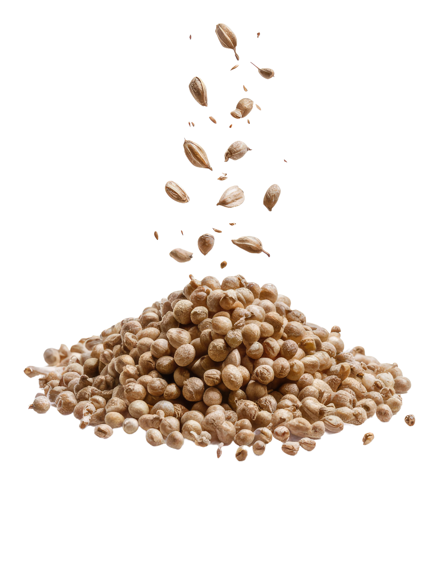 A Handful Of Hemp Seeds 47731203 Png