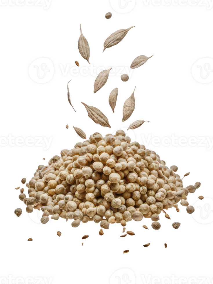 A Handful Of Hemp Seeds 47731209 Png