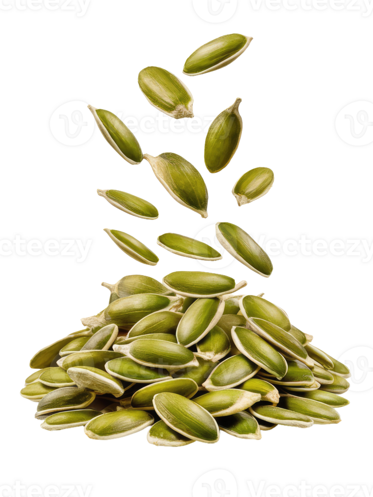 Raw Pumpkin Seeds 47731225 Png