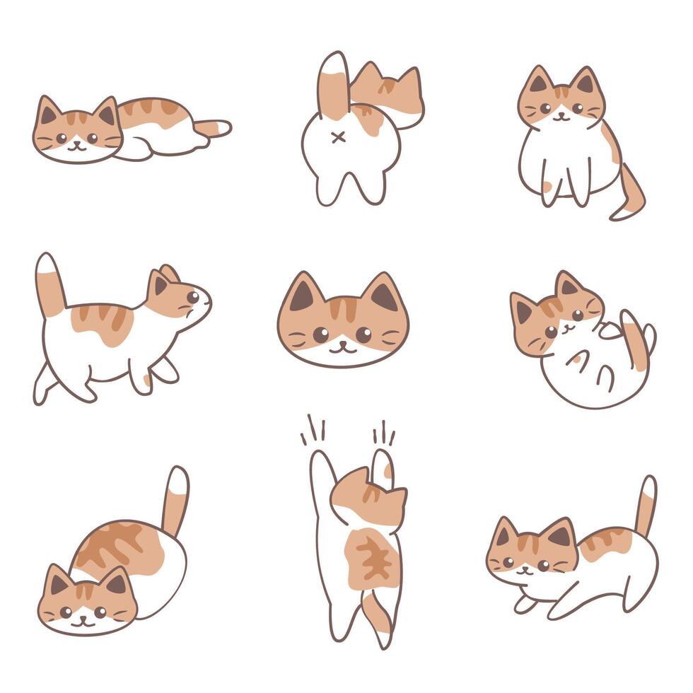 Set of cute cat poses 47805147 Vector Art at Vecteezy
