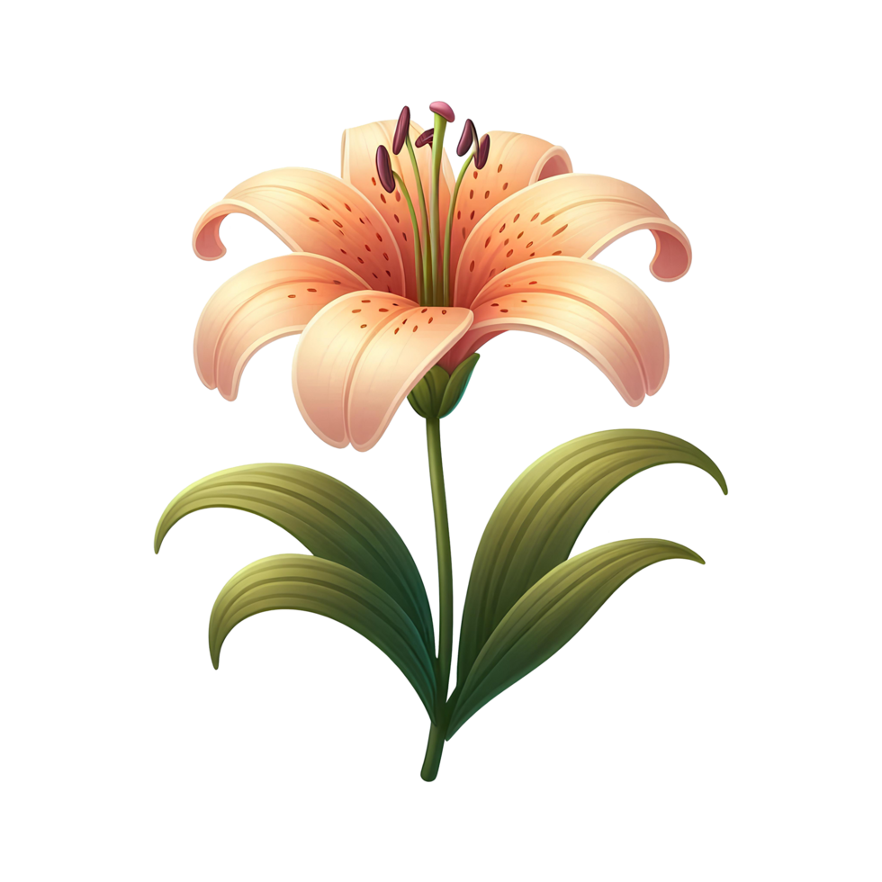 Colorful Cartoon Lily Flower 47824595 PNG