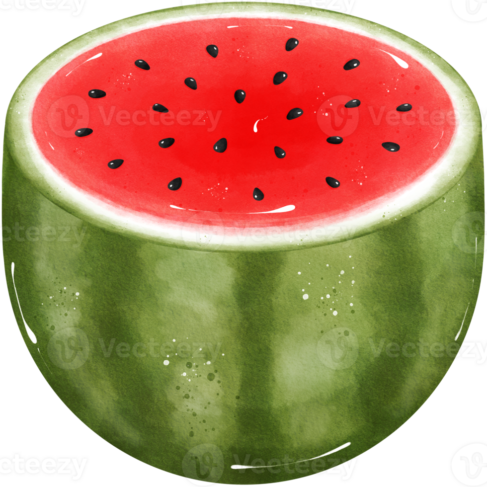 Watercolor Half Of Watermelon Illustration 47824882 Png