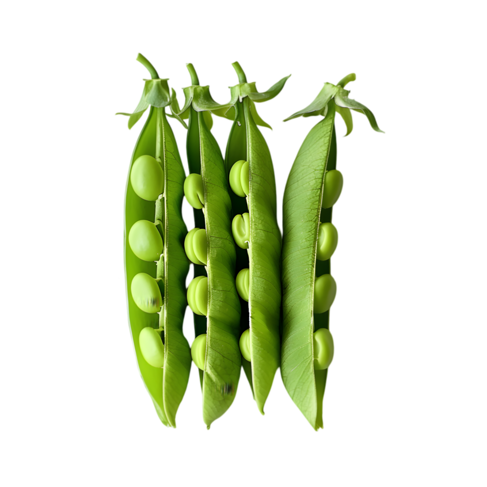Green peas in pods isolated on a transparent background 47825231 PNG