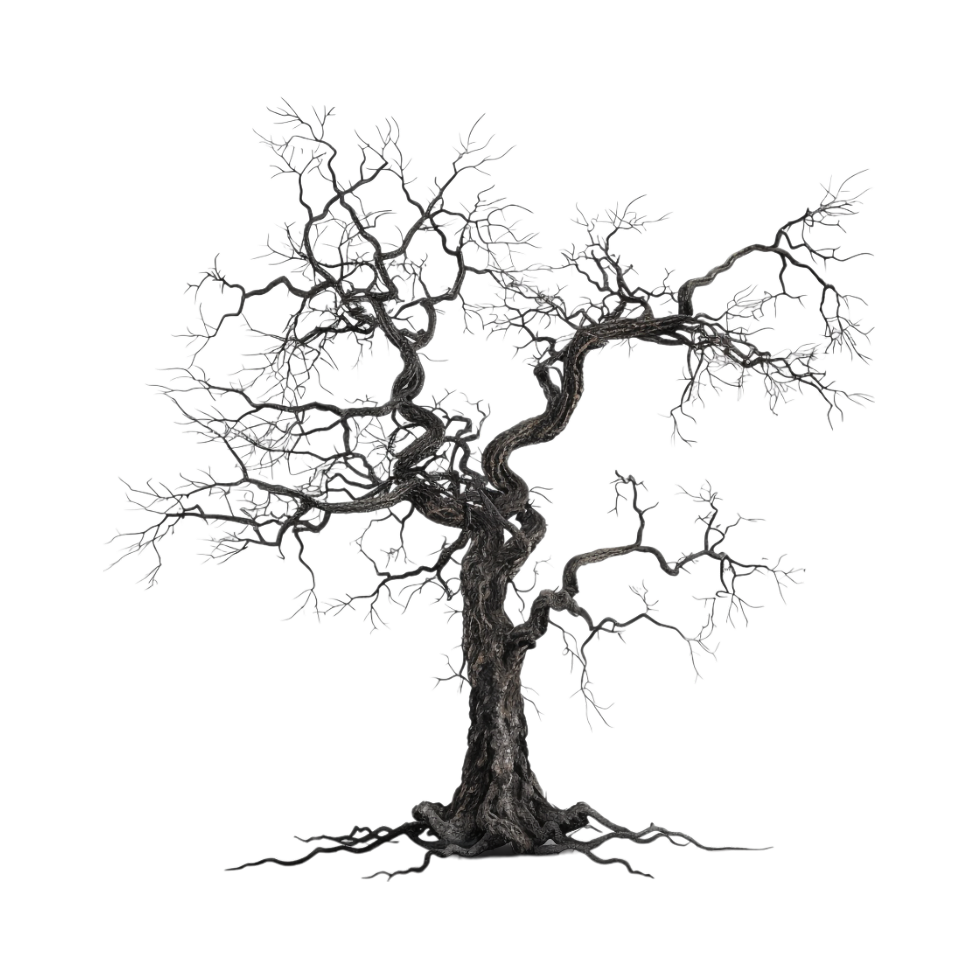 Autumn Tree Without Leaves on Transparent Background 47828669 PNG