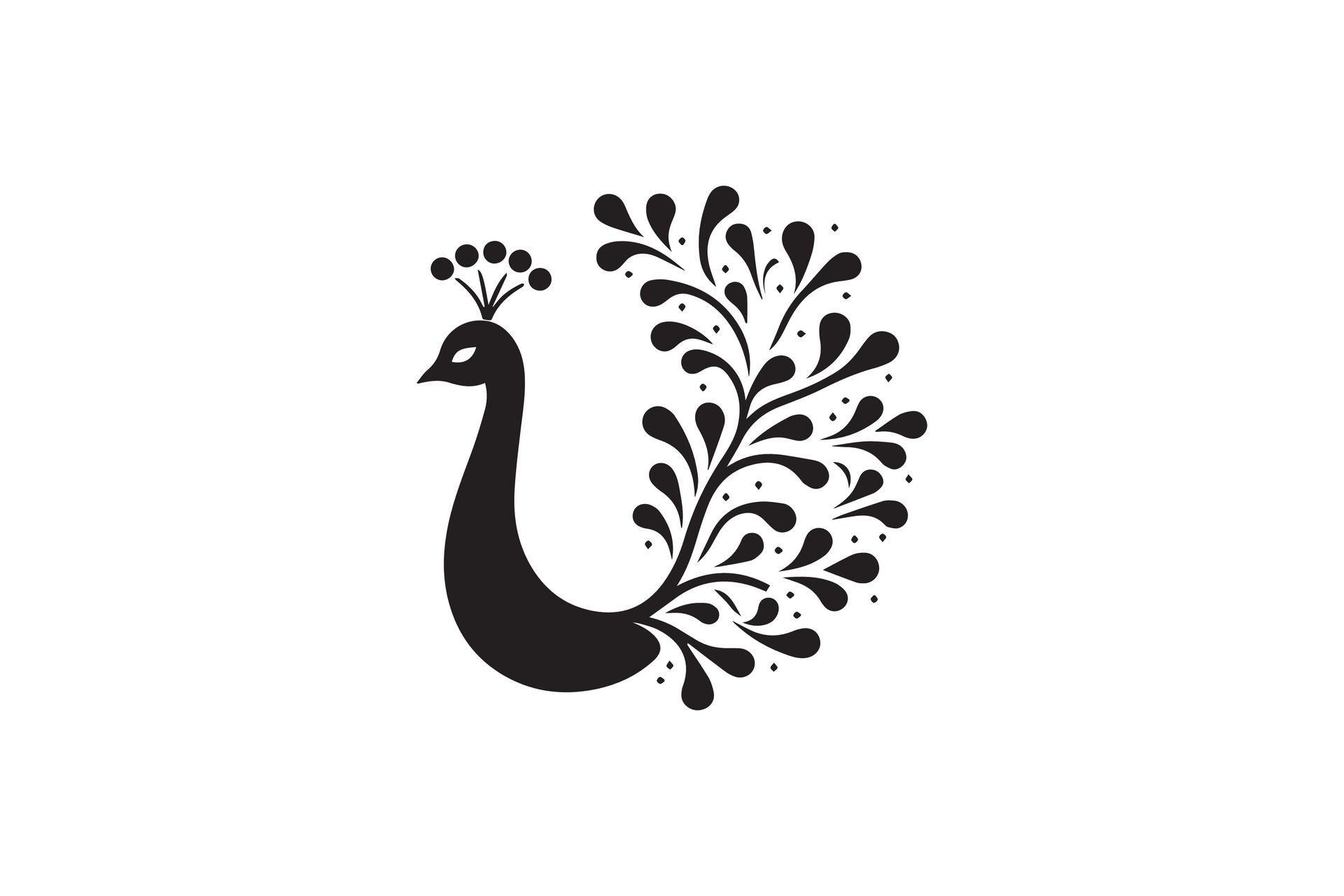 Peacock Silhouette Beauty Peacock Silhouette Illustration 47915130