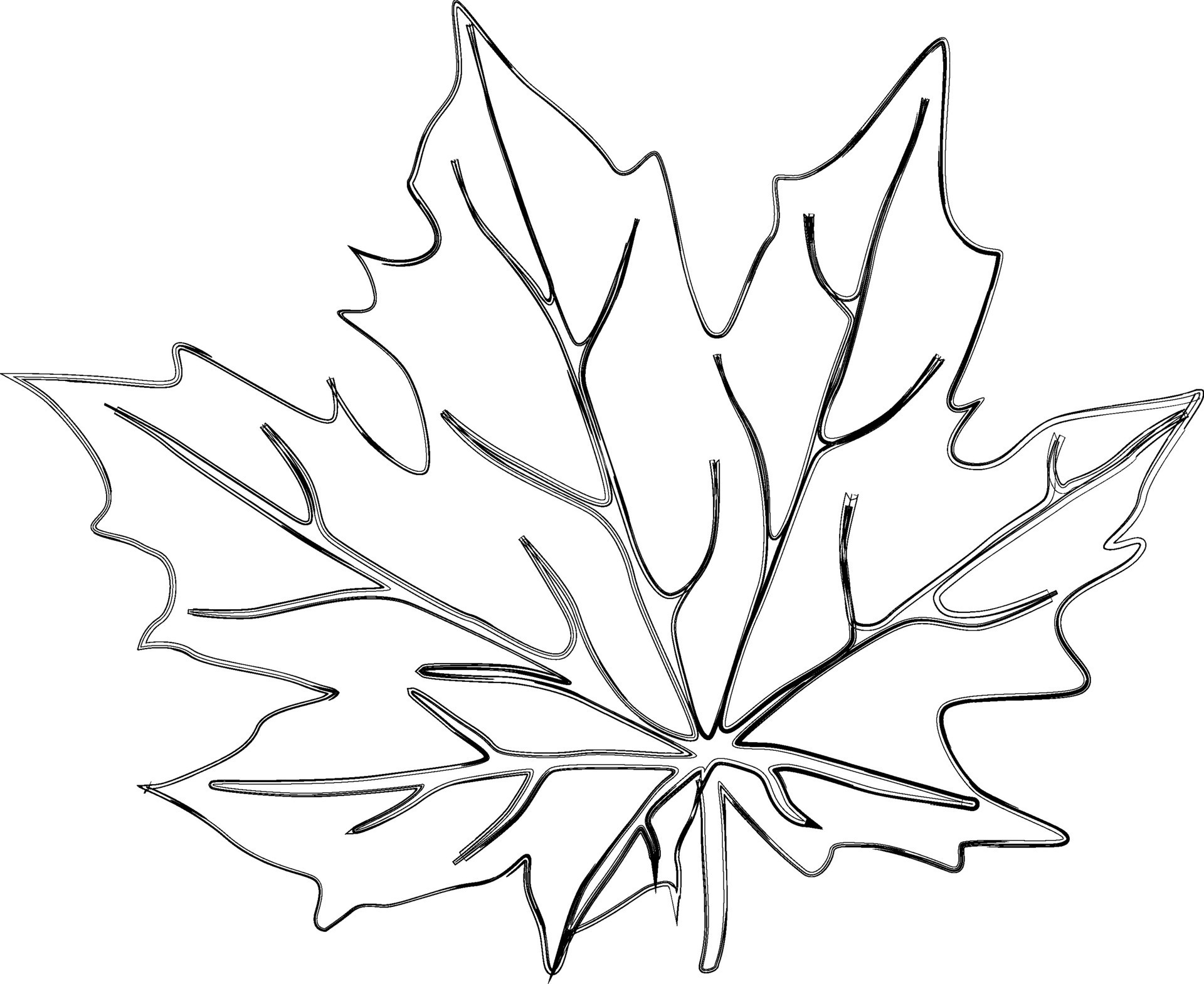 Maple Tree Leaf Design Nature 47973486 Vector Art At Vecteezy