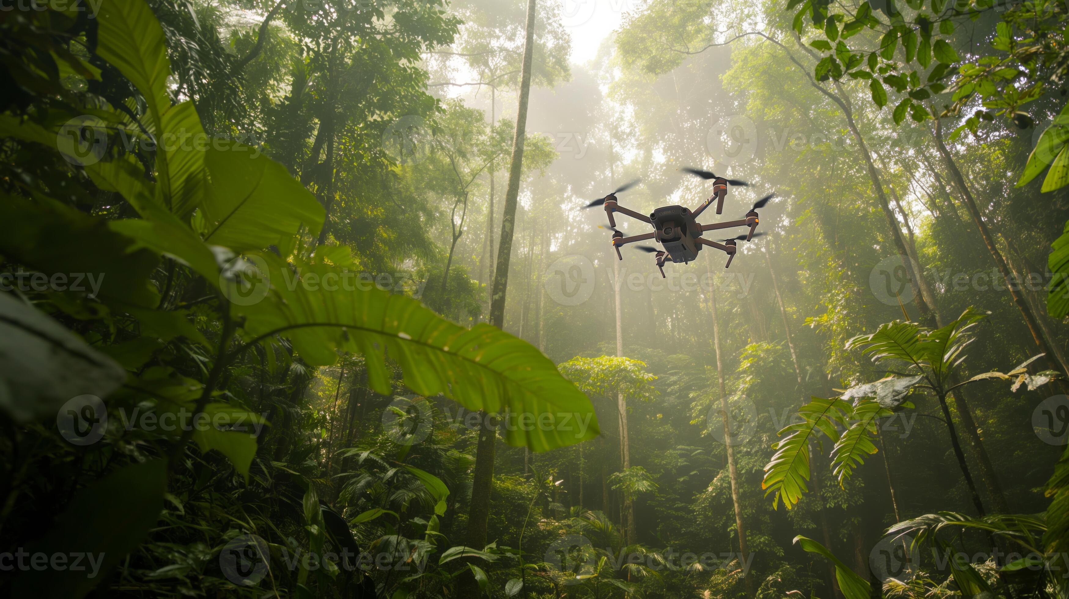 Drone Wildlife Monitoring in Dense Forest Area, Nature Conservation Technology for Environmental ...