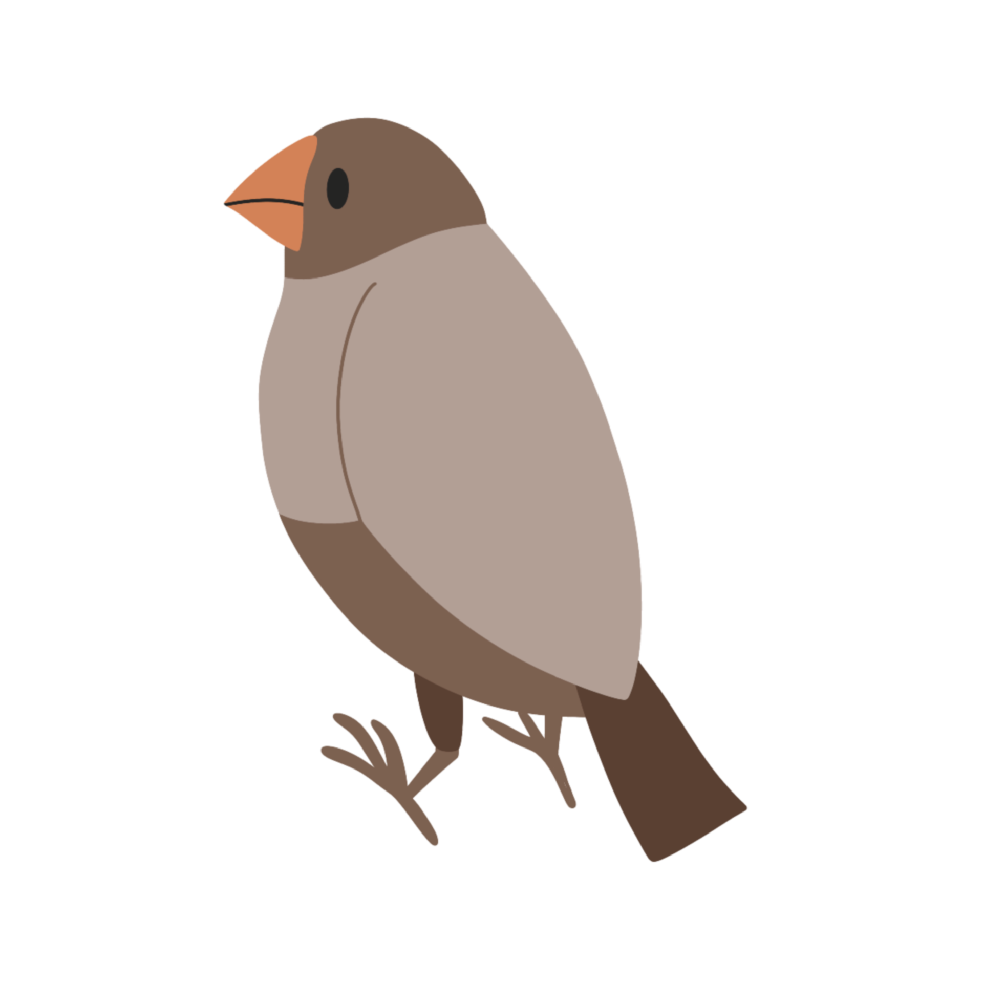 Cute Bird Illustration 48029067 Png