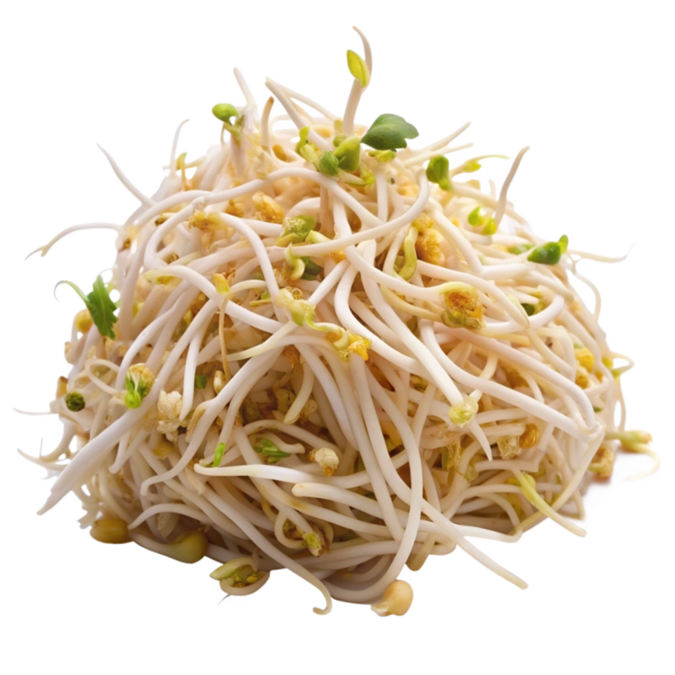 The Photo Is A Bean Sprouts Isolated 48036654 Png