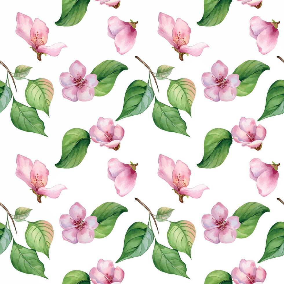 Pink flowers of apricot tree and leaves seamless pattern watercolor ...