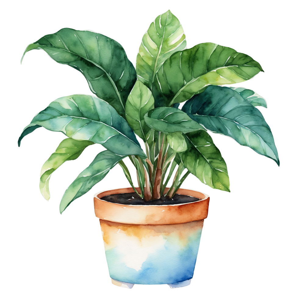 watercolor house plant in pot 48046945 PNG