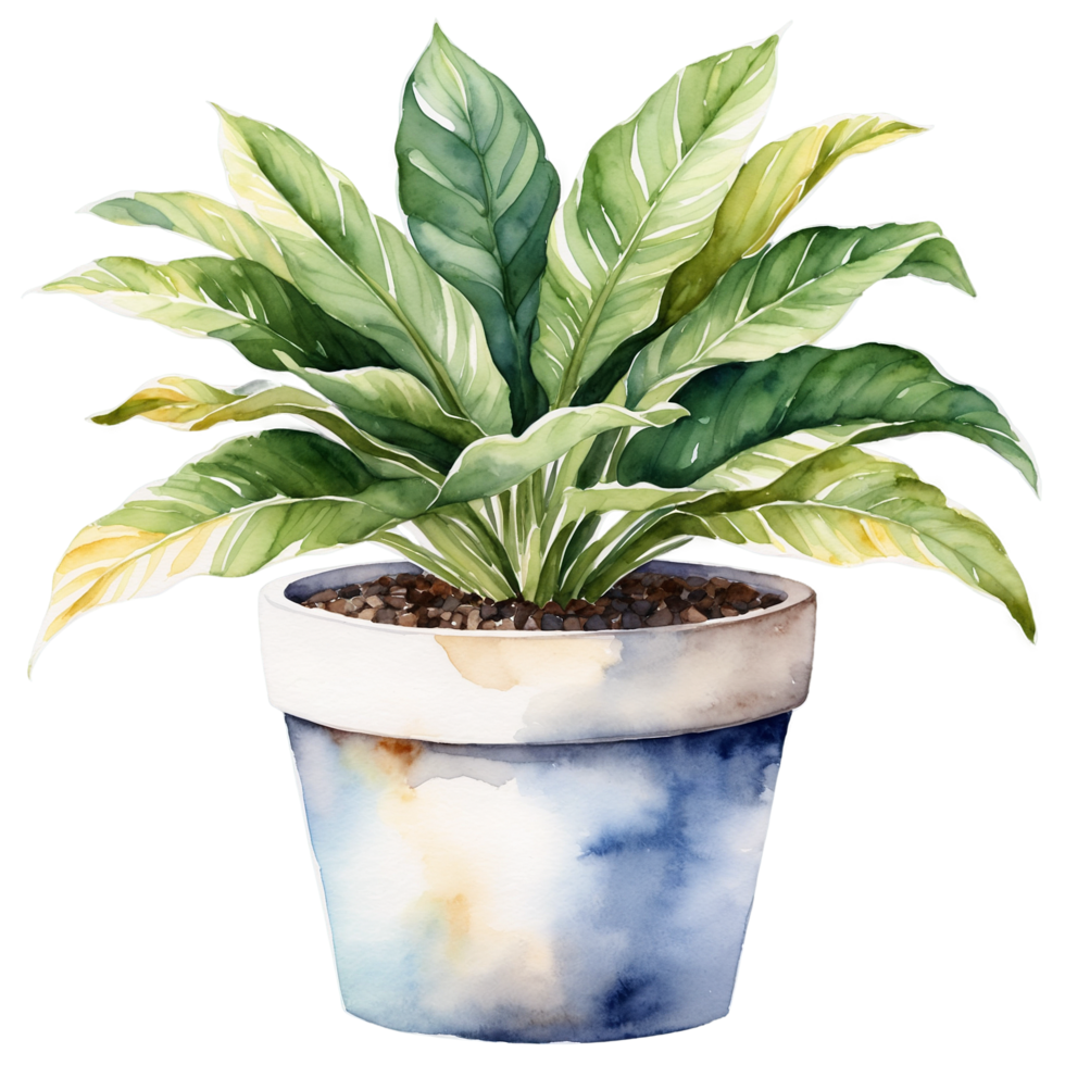 watercolor house plant in pot 48046955 PNG