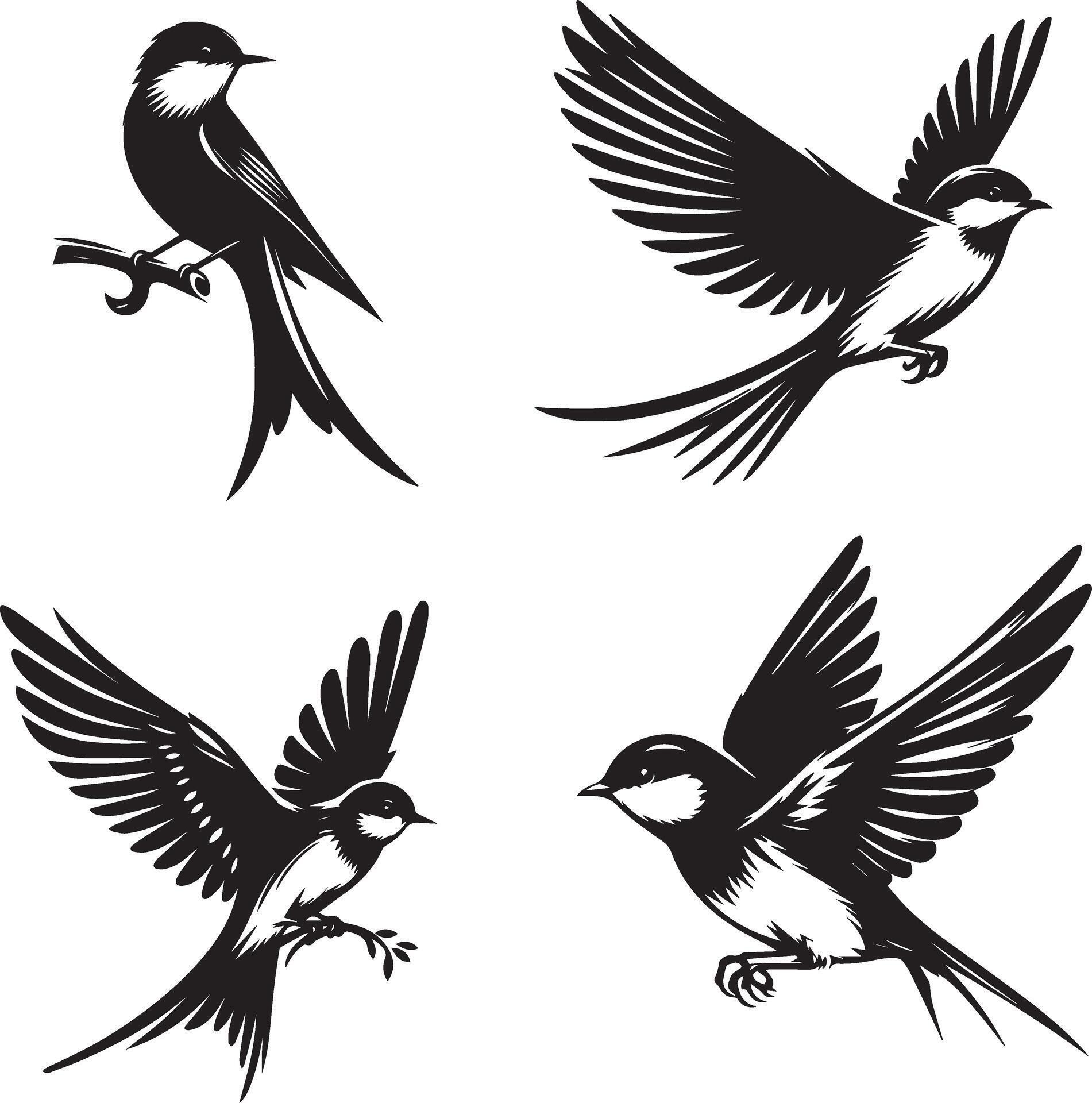 four black and white birds in flight 48077666 Vector Art at Vecteezy