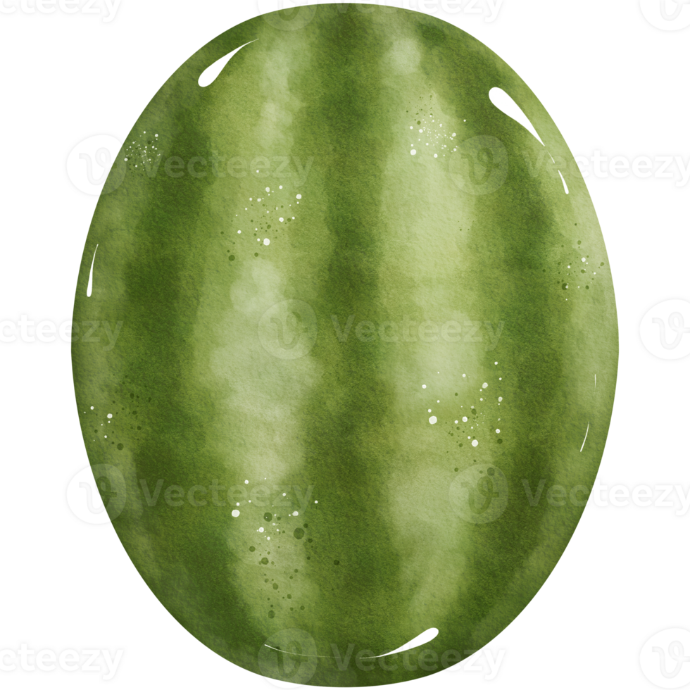 Watercolor Watermelon Illustration 48083616 Png