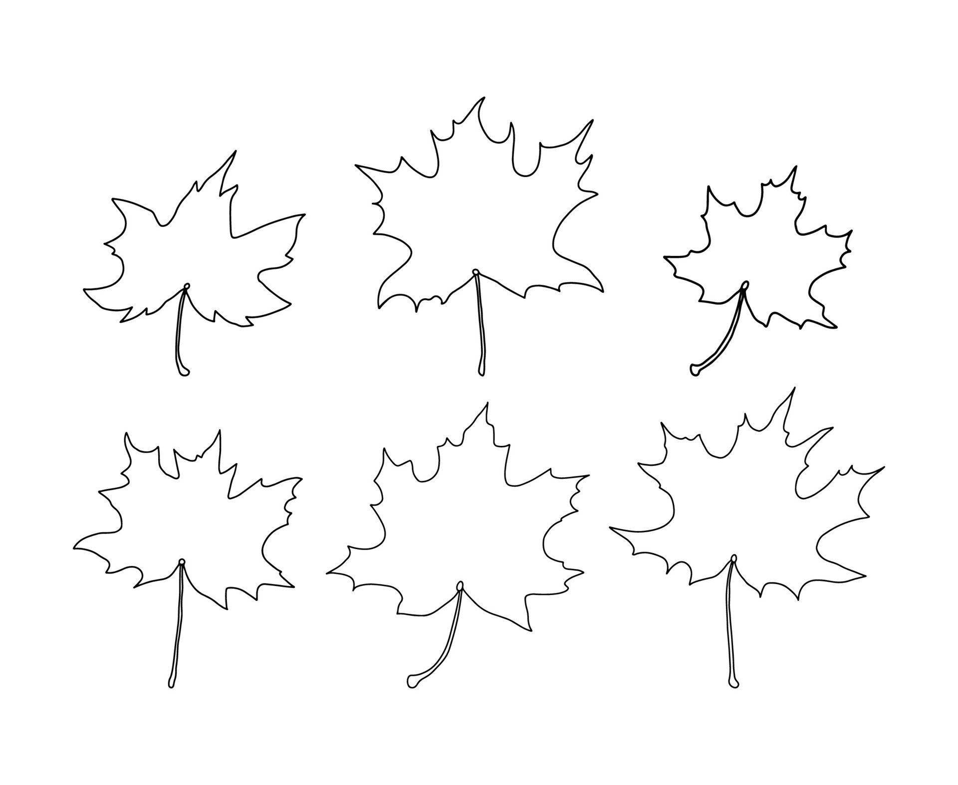 Set Of Maple Tree Leaves Outline Without Veins Autumn Fall Maple Tree Leaf Line Art 48093311