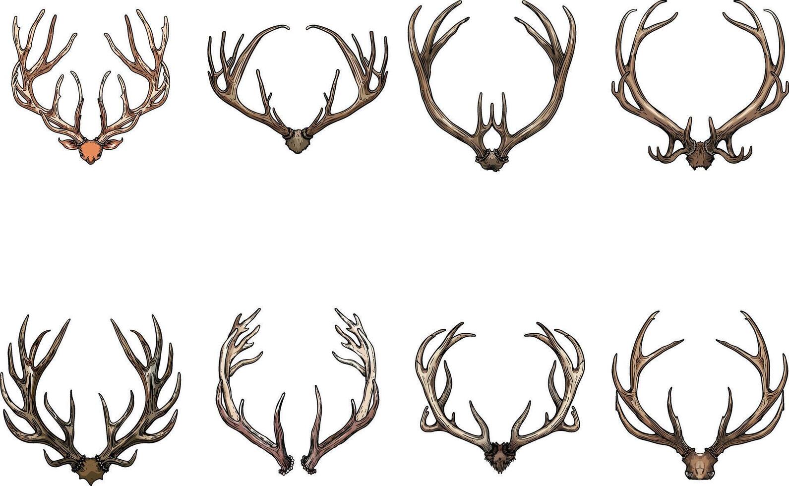 antler illustration isolated on white background. 48115993 Vector Art ...