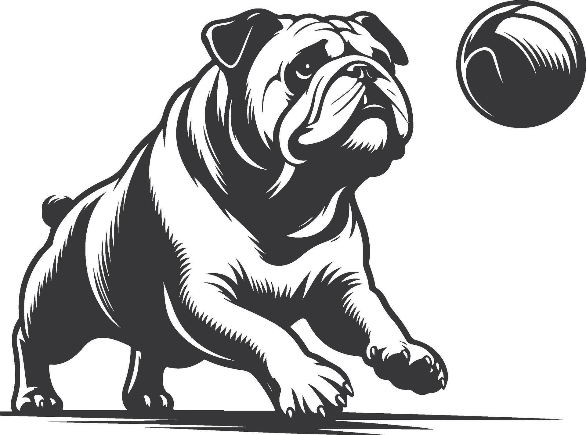 french bulldog Fetching a ball silhouette design. 48122547 Vector Art ... french bulldog Fetching a ball silhouette design. 48122547 Vector Art ...