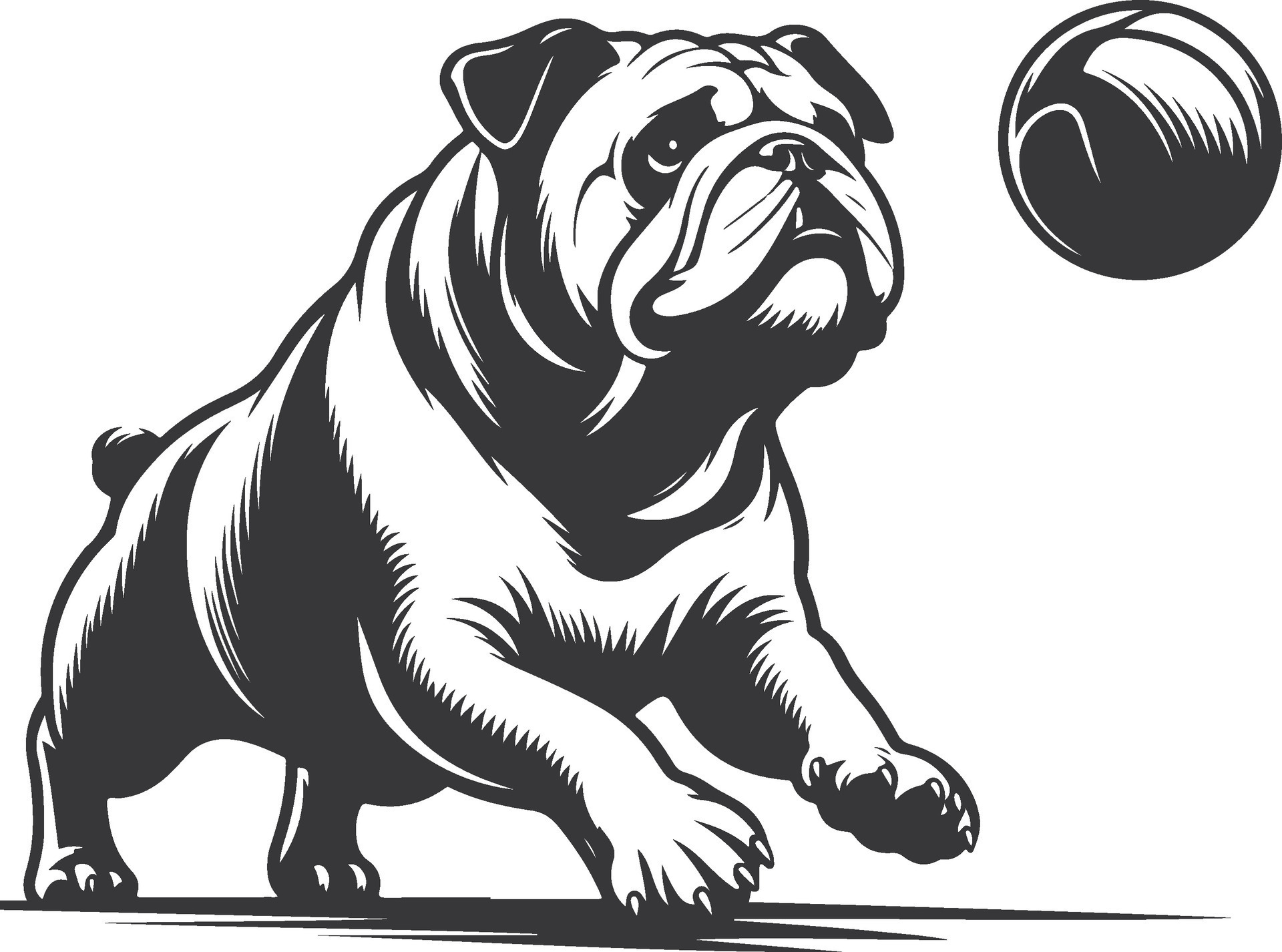 french bulldog Fetching a ball silhouette design. 48122547 Vector Art ... french bulldog Fetching a ball silhouette design. 48122547 Vector Art ...