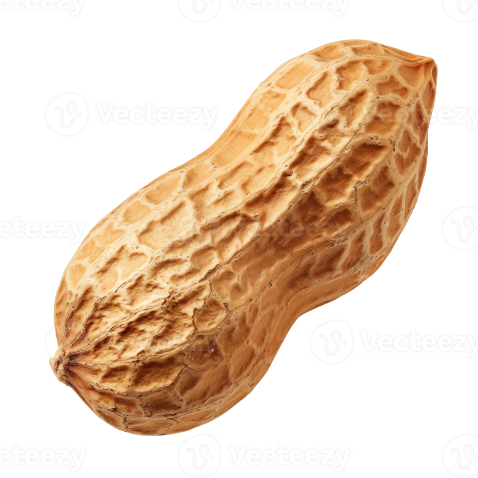 Cacahuate PNG para descargar gratis Cacahuate PNG para descargar gratis