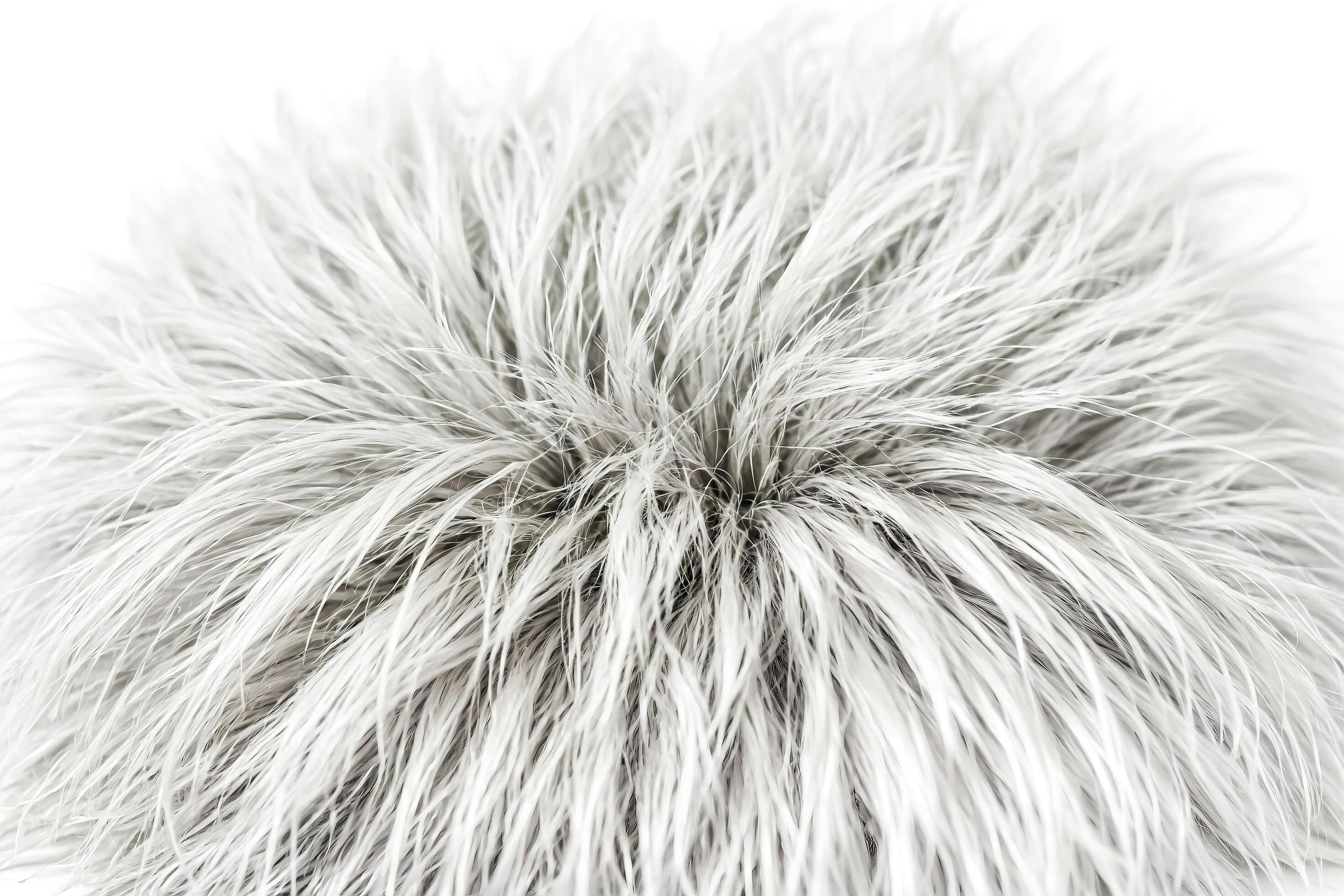 White Fur Texture 48179672 Stock Photo at Vecteezy