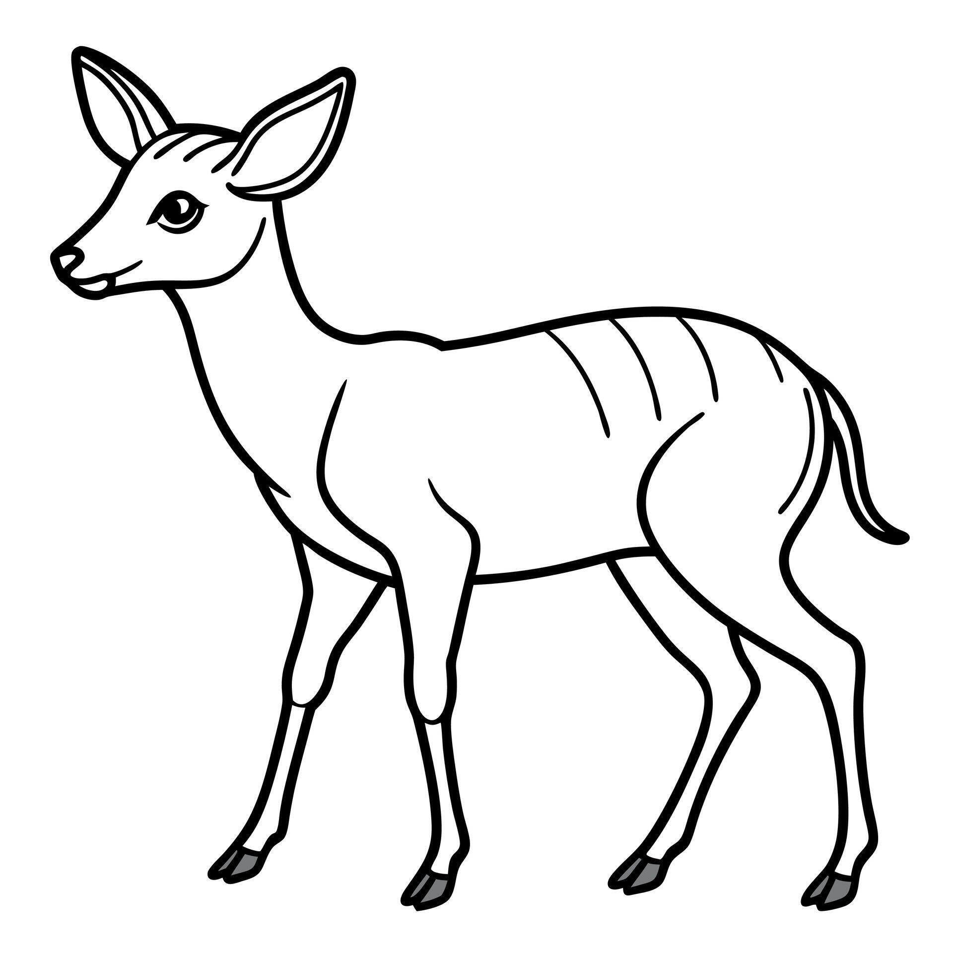 Duiker Deer Walks Icon 48181422 Vector Art At Vecteezy