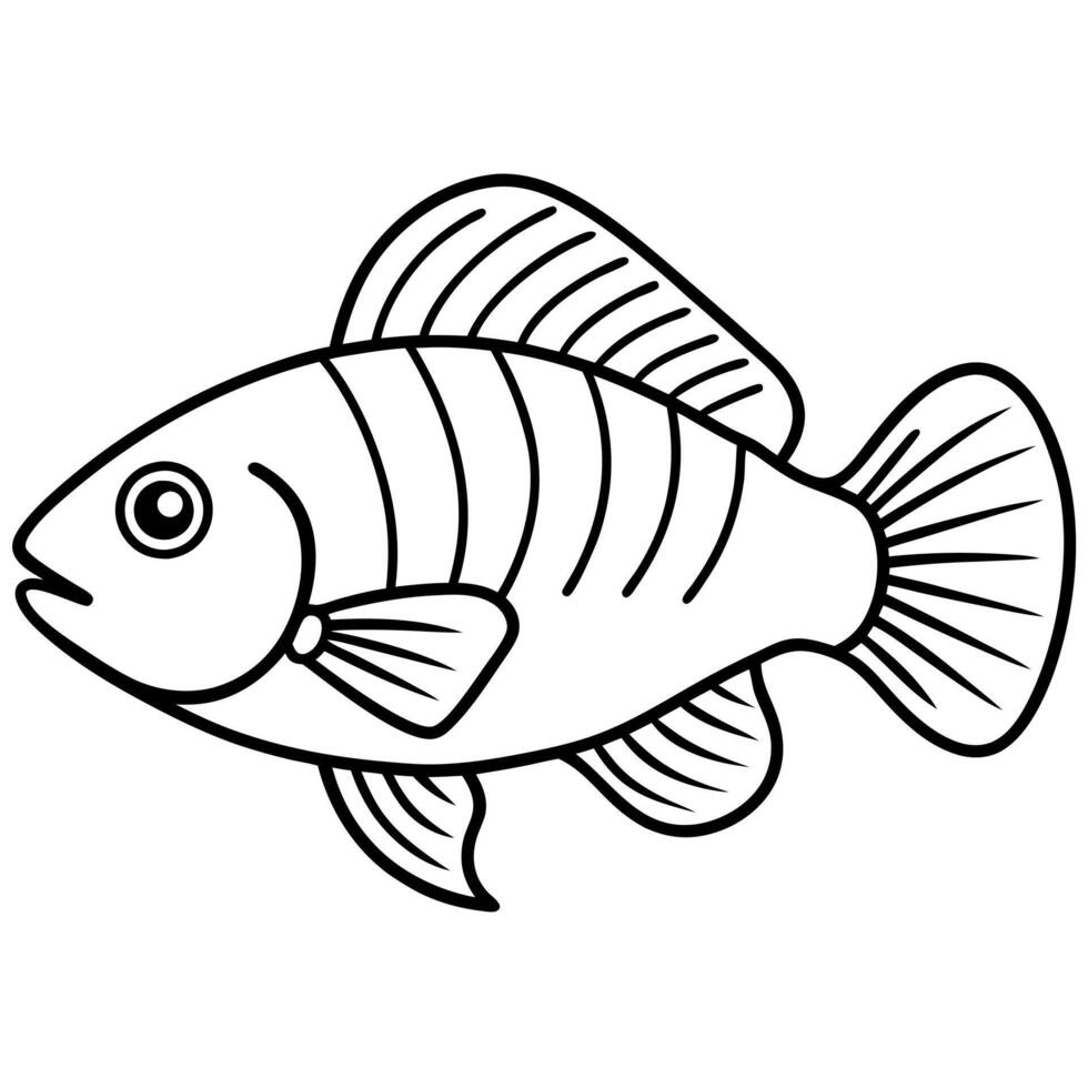 Dwarf Gourami fish sits icon 48181575 Vector Art at Vecteezy Dwarf Gourami fish sits icon 48181575 Vector Art at Vecteezy