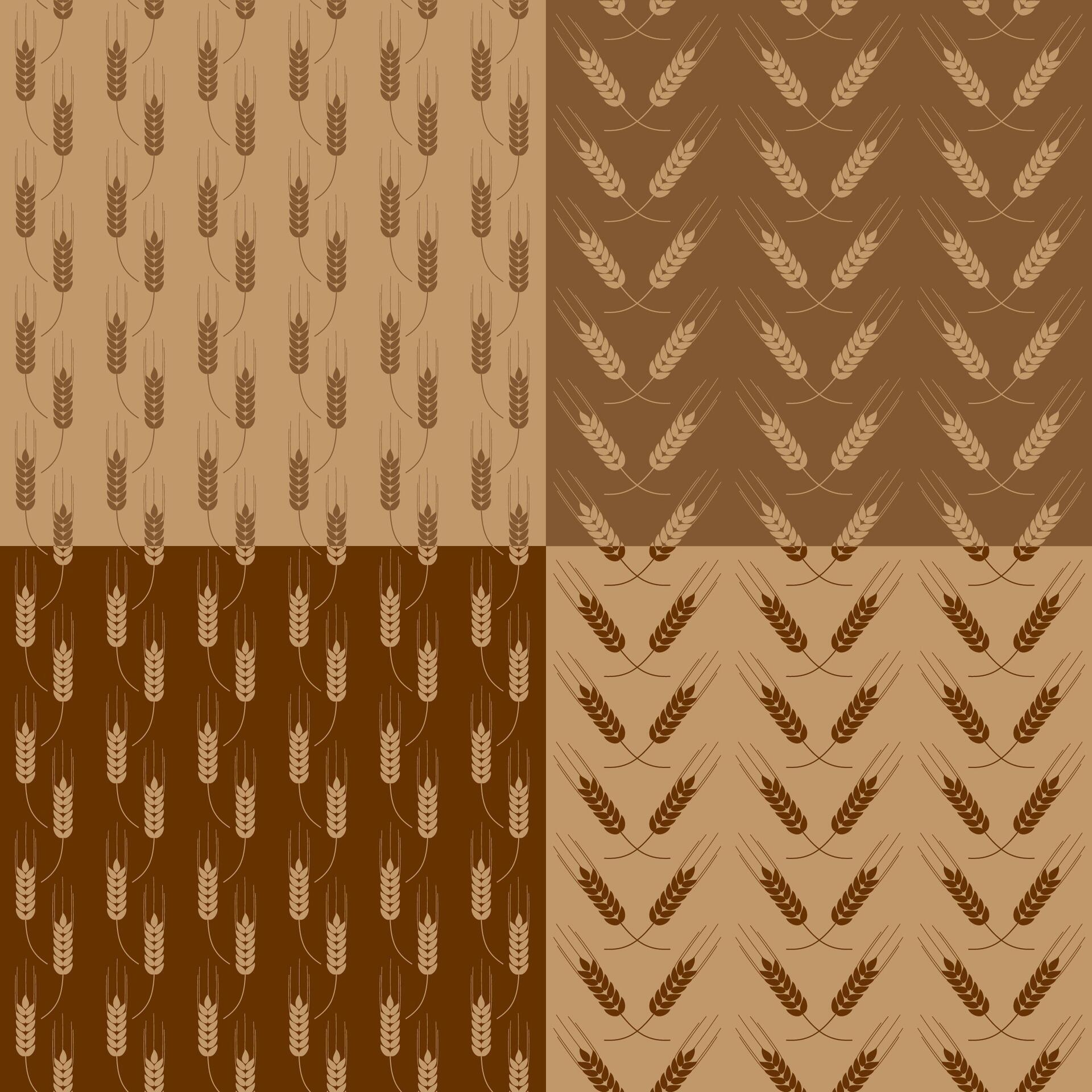 Wheat patterns set 48190439 Vector Art at Vecteezy