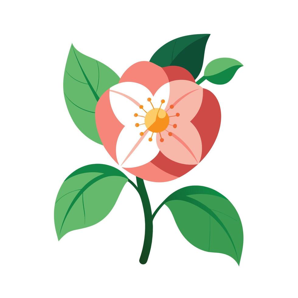 Beautiful Flower Minimalist Floral Illustration 48192415 Vector Art At Vecteezy