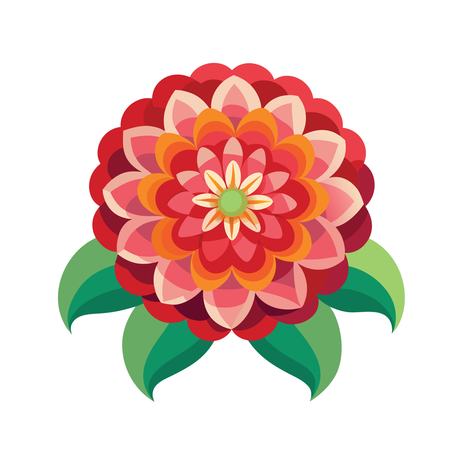 Beautiful Flower Minimalist Floral Illustration 48193175 Vector Art At Vecteezy
