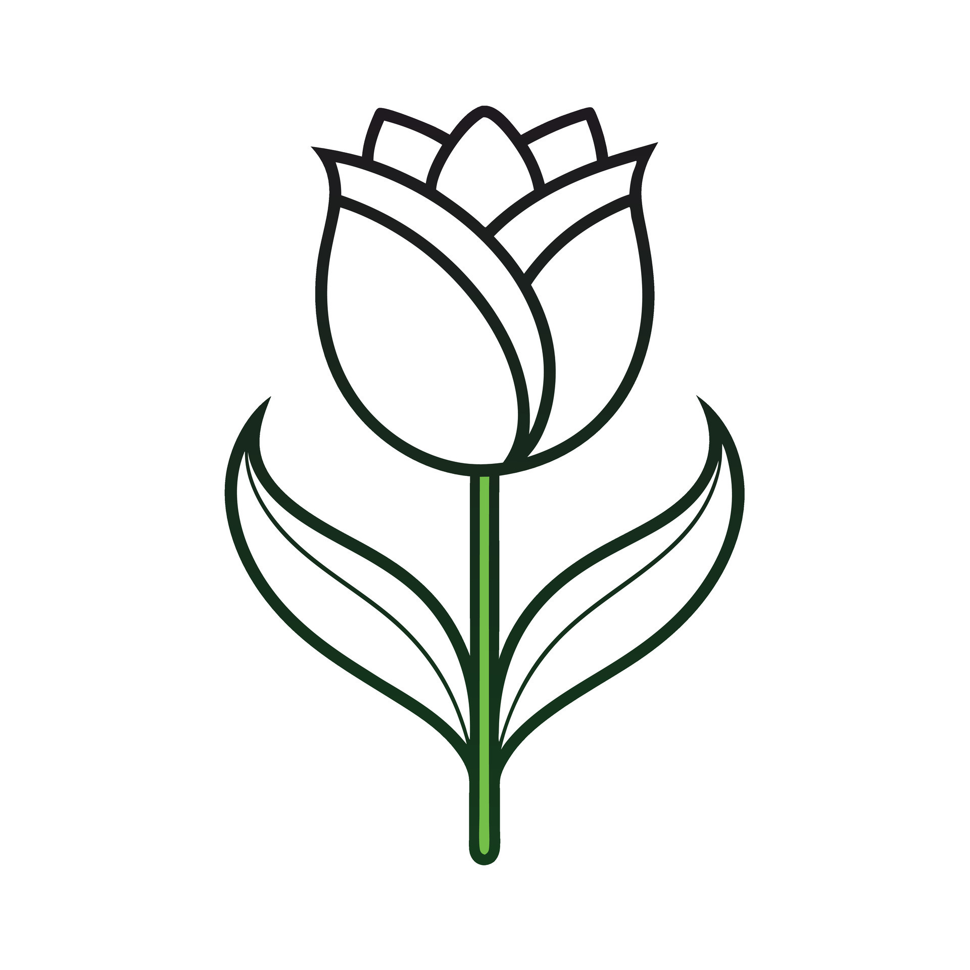 Beautiful Flower Minimalist Floral Illustration 48196868 Vector Art At Vecteezy