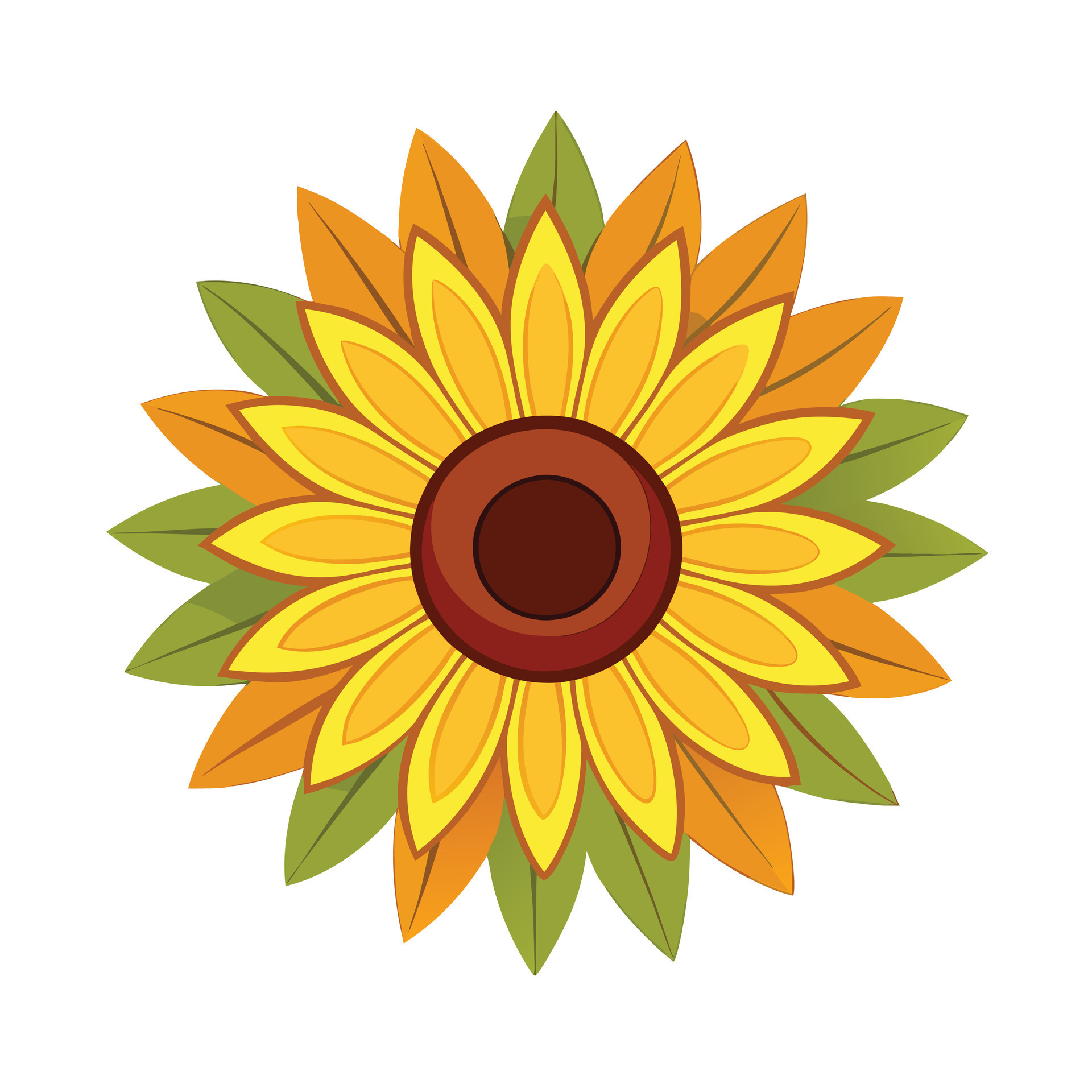 Beautiful Flower Minimalist Floral Illustration 48196904 Vector Art At Vecteezy