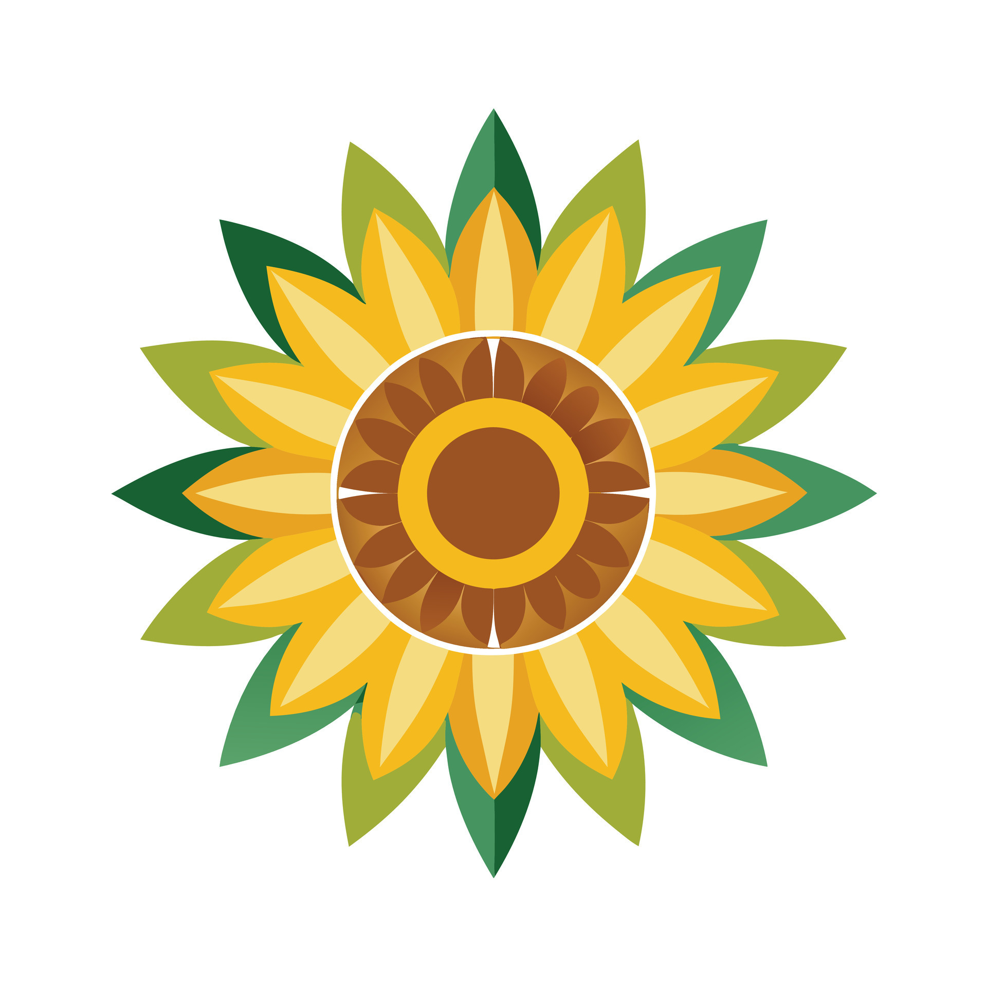 Beautiful Flower Minimalist Floral Illustration 48196948 Vector Art At Vecteezy