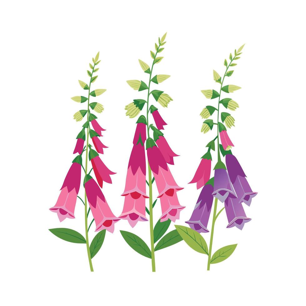 Beautiful Flower Minimalist Floral Illustration 48198314 Vector Art At Vecteezy