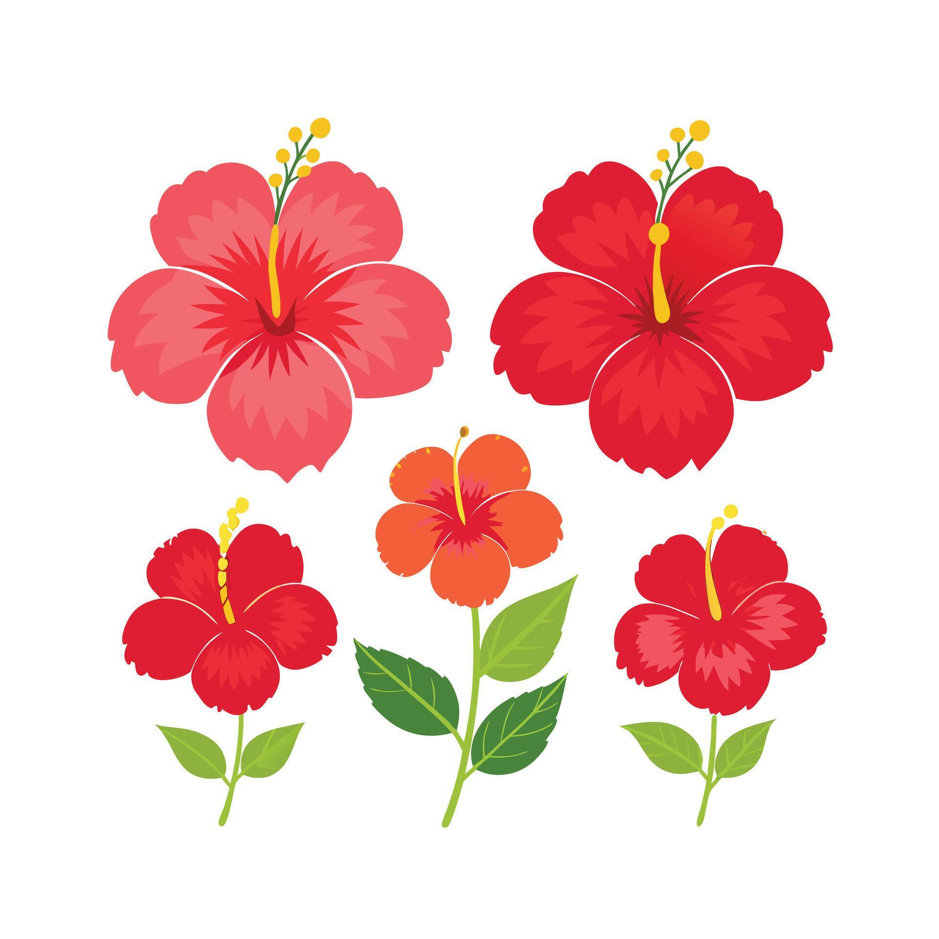 Beautiful Flower Minimalist Floral Illustration 48198767 Vector Art At Vecteezy