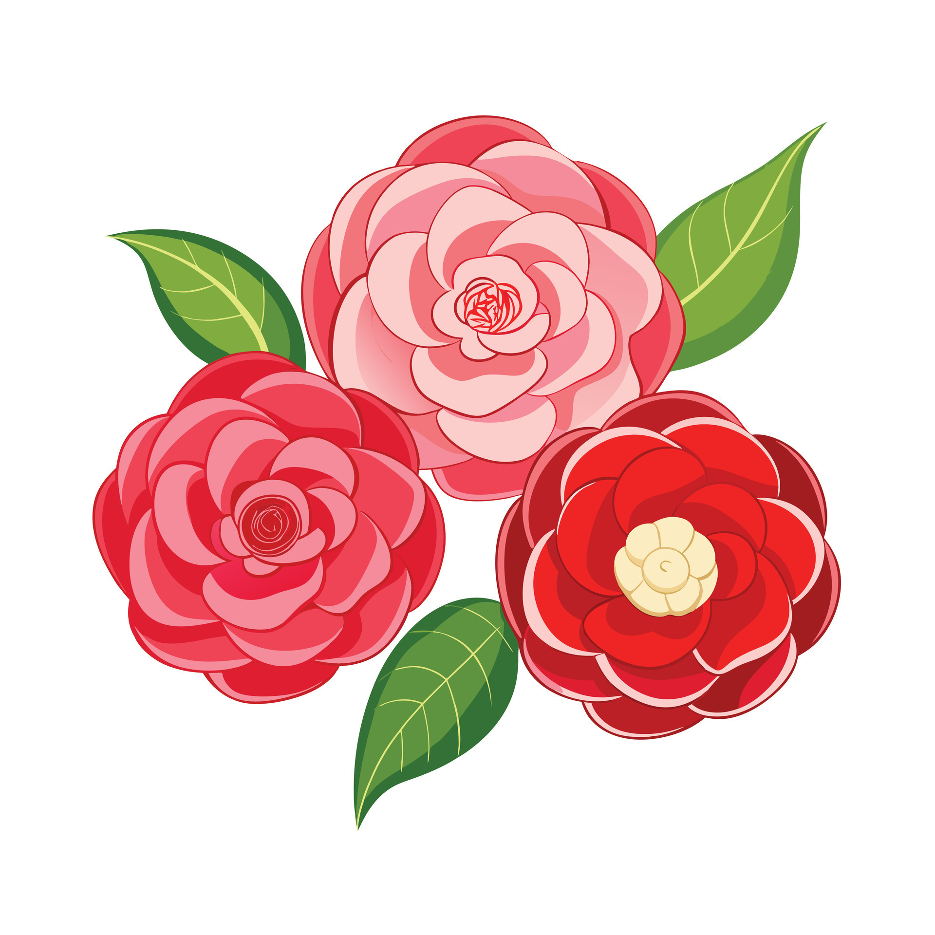 Beautiful Flower Minimalist Floral Illustration 48198876 Vector Art At Vecteezy