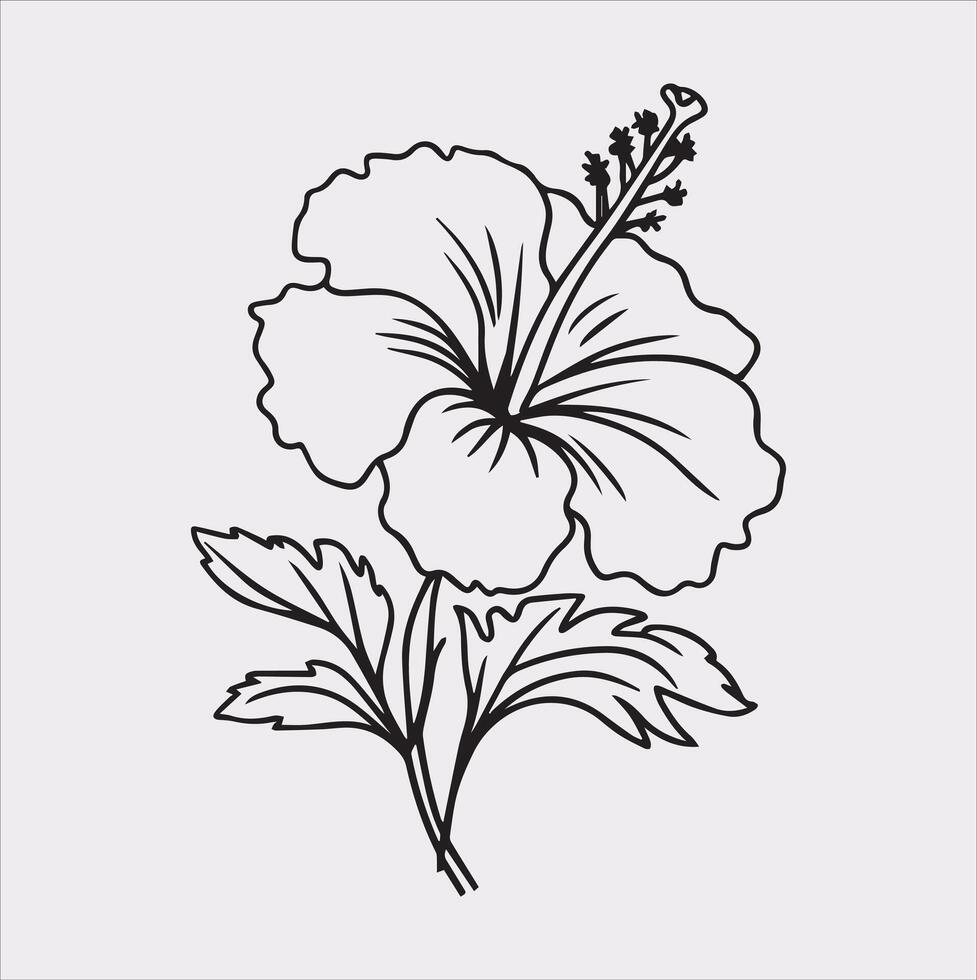 Hibiscus Flower Line Art Silhouette On White Background 48256806 Vector