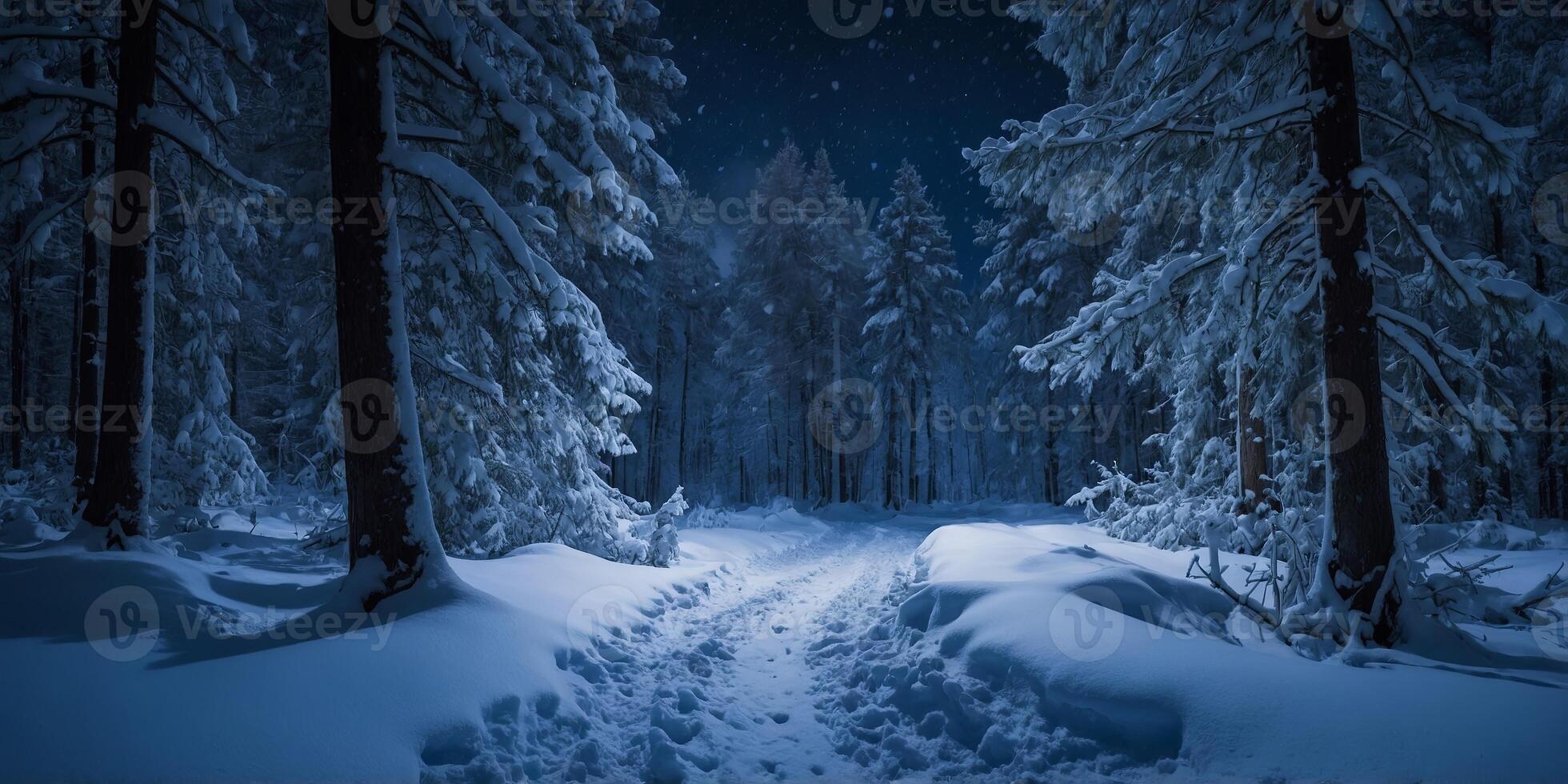 Winter forest background store
