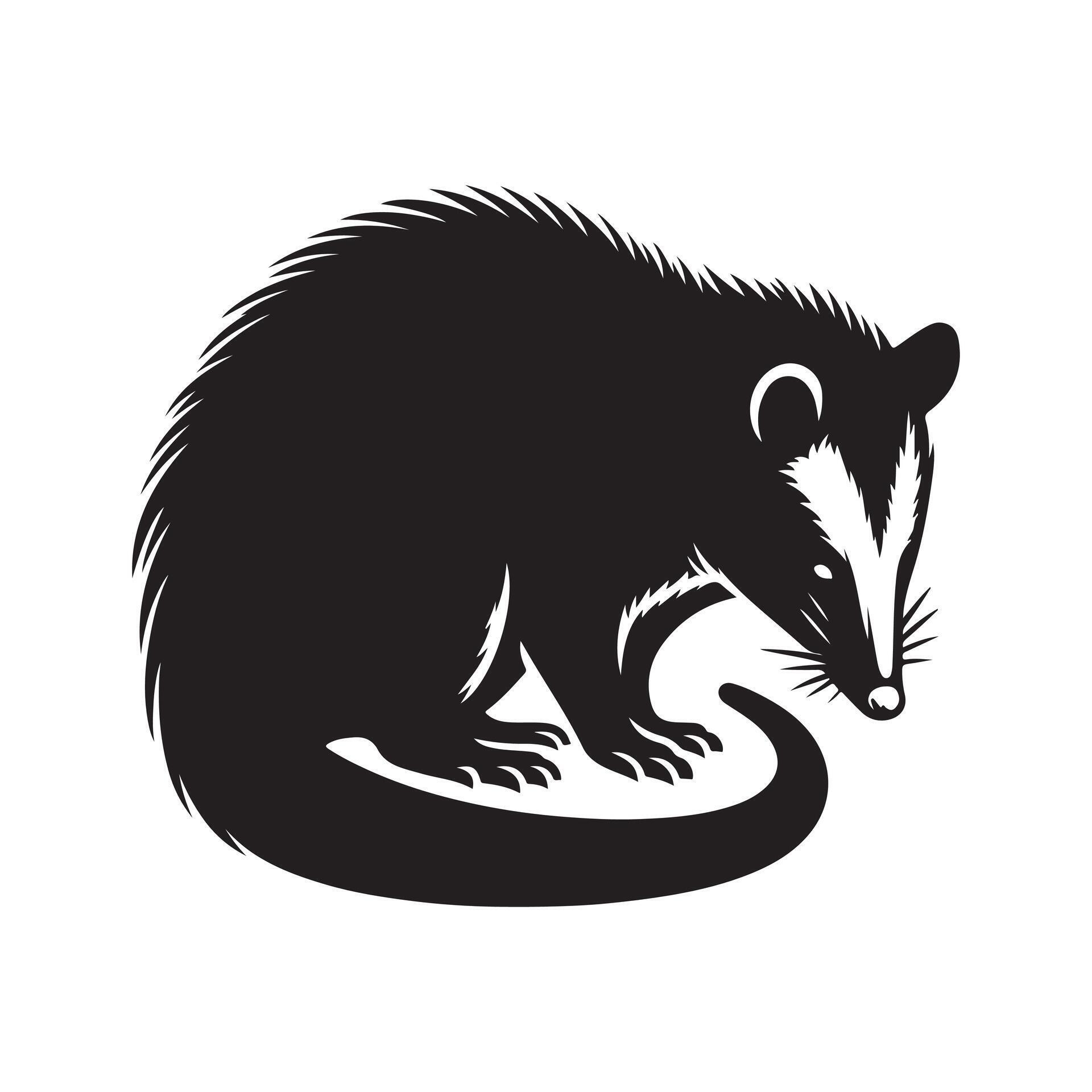 Possum Silhouette Vectors Illustration 48380382 Vector Art At Vecteezy