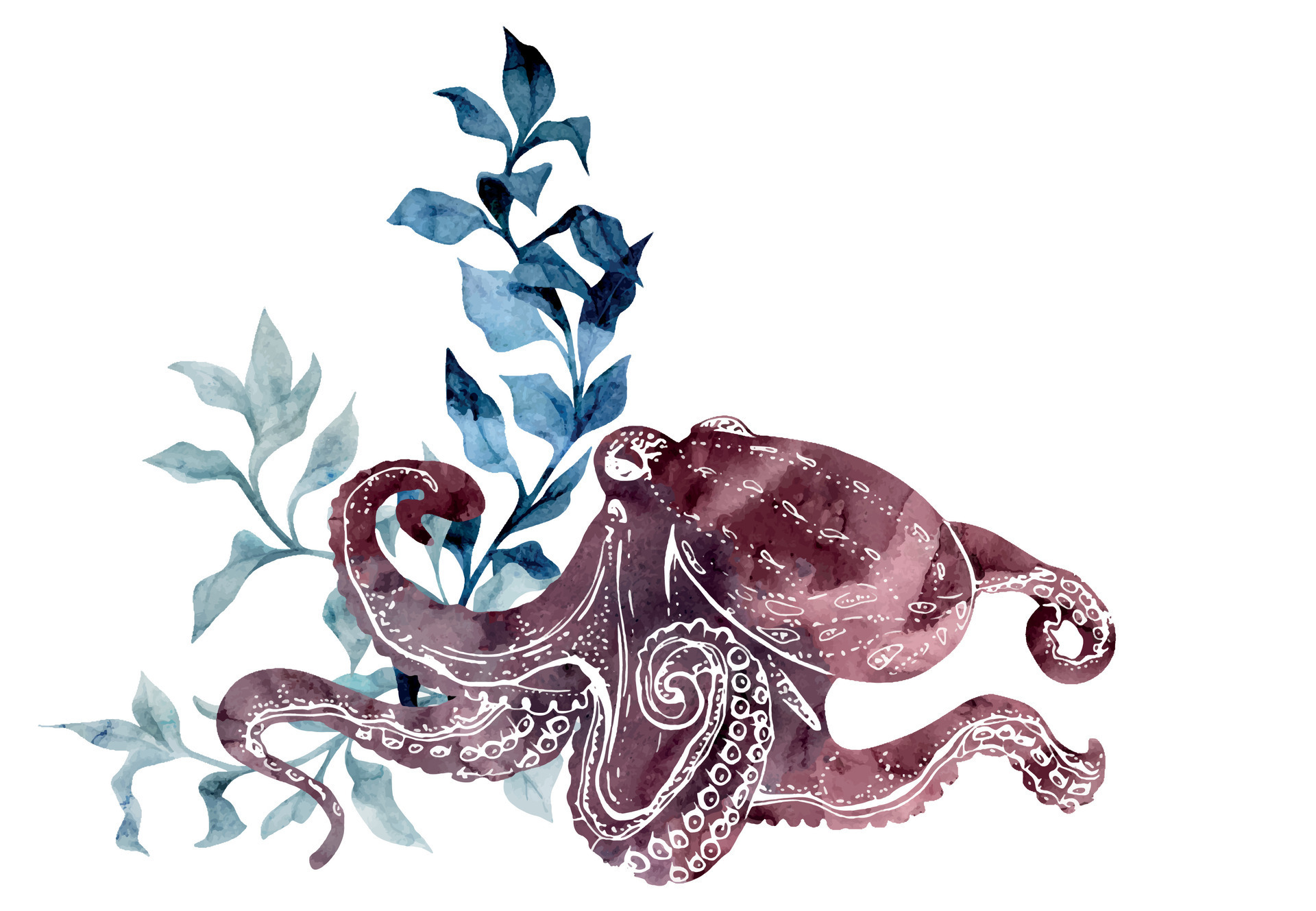 Watercolor and ink hand drawn marine life, sea ocean underwater creatures. fish, shells algae ...