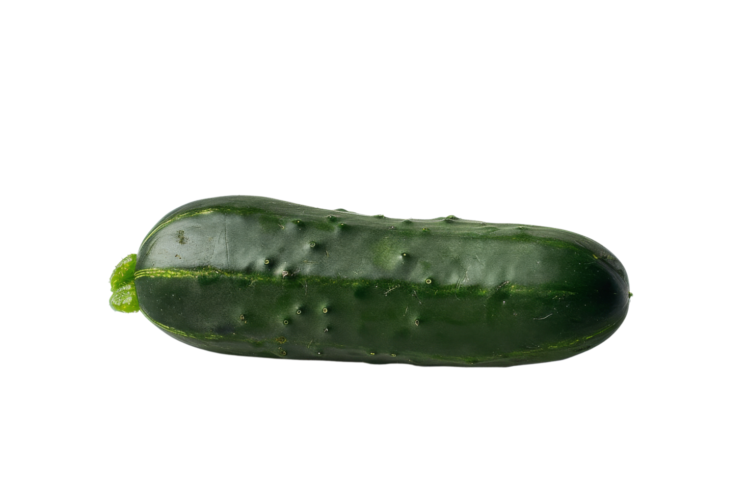 Fresco Pepino Aislado 48470328 Png