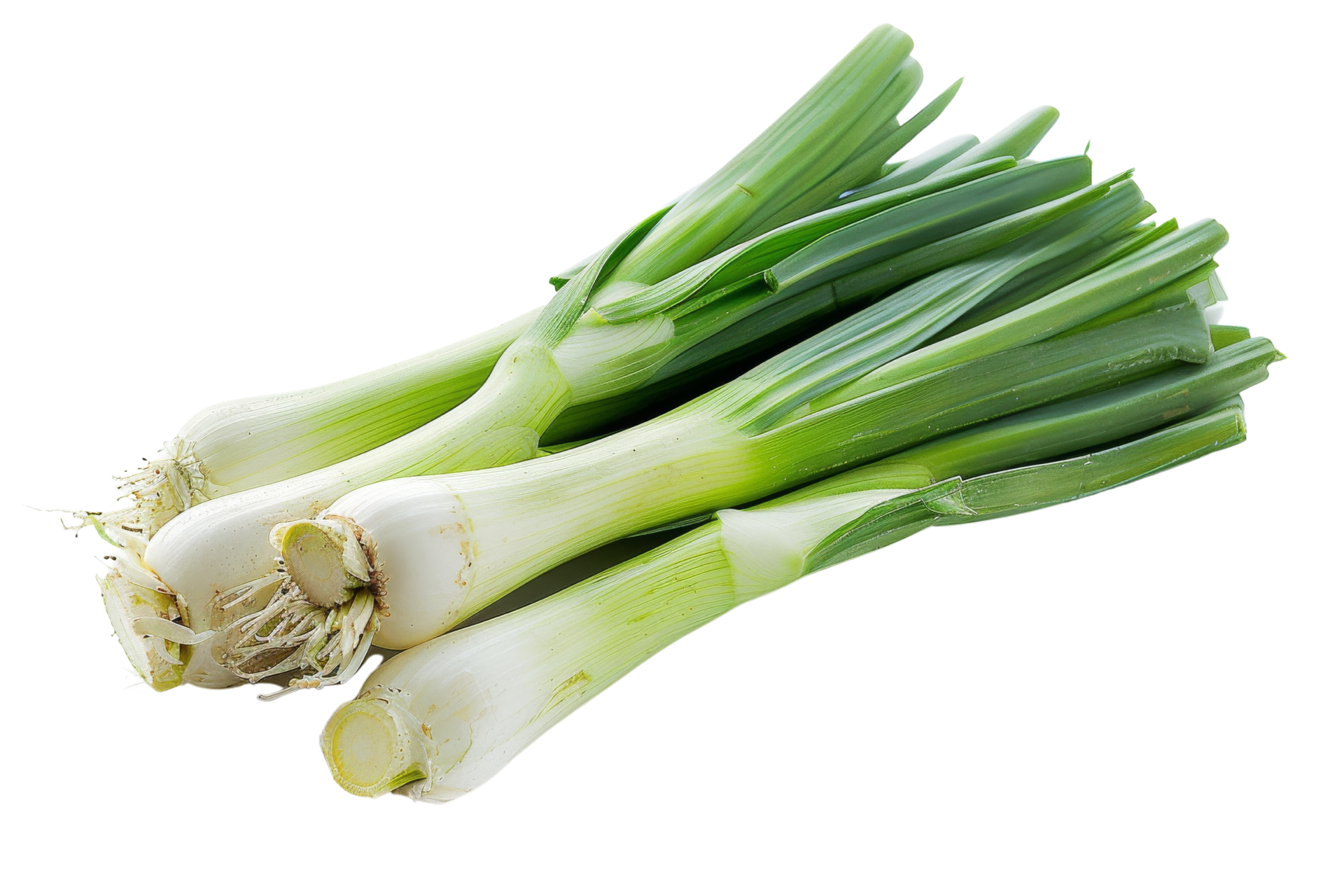 Fresh Green Leeks 48470555 PNG Fresh Green Leeks 48470555 PNG