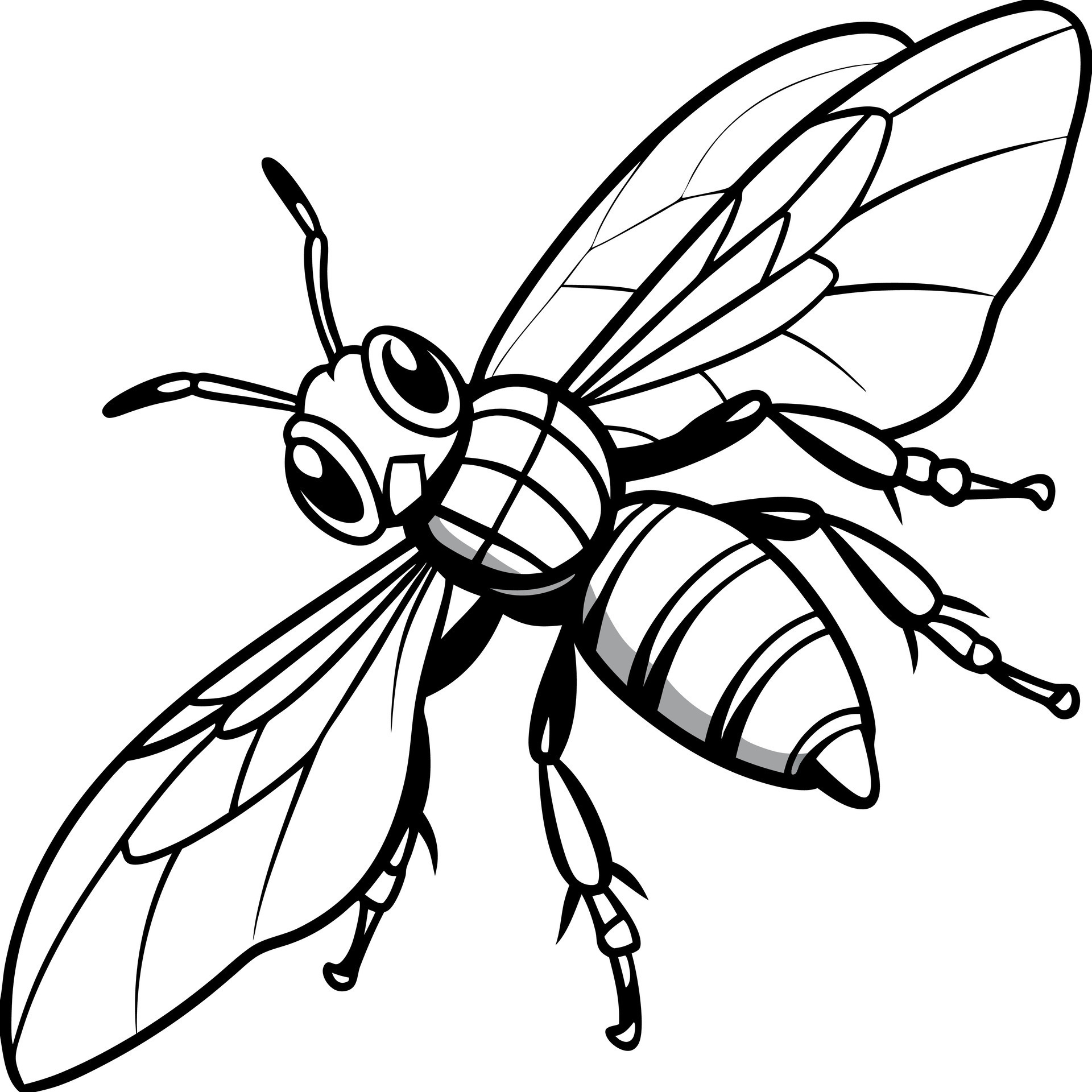 Cicada Killer Wasp Bug Flies Icon 48473273 Vector Art At Vecteezy